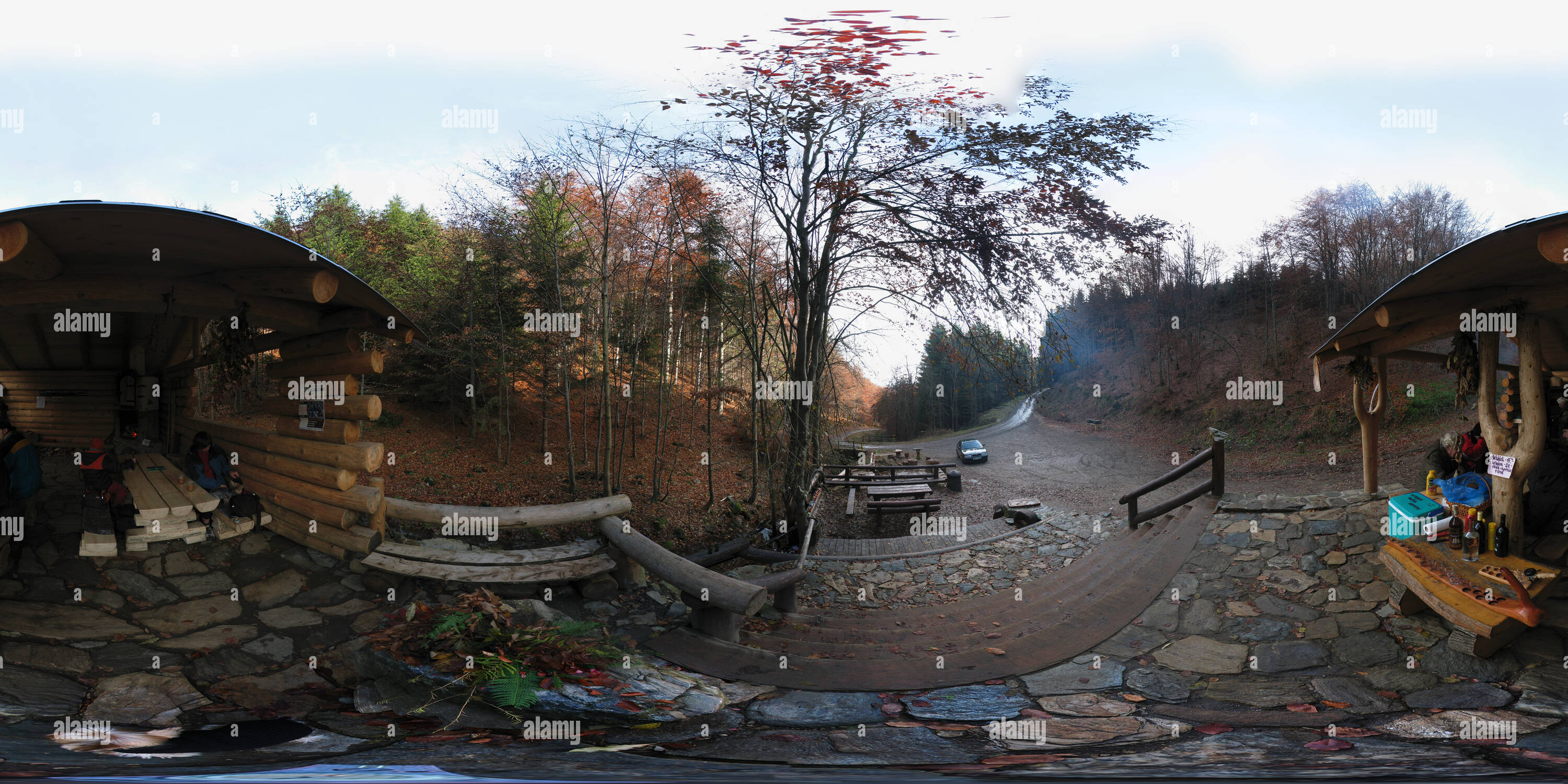 360° view of The Forest Bar - Alamy