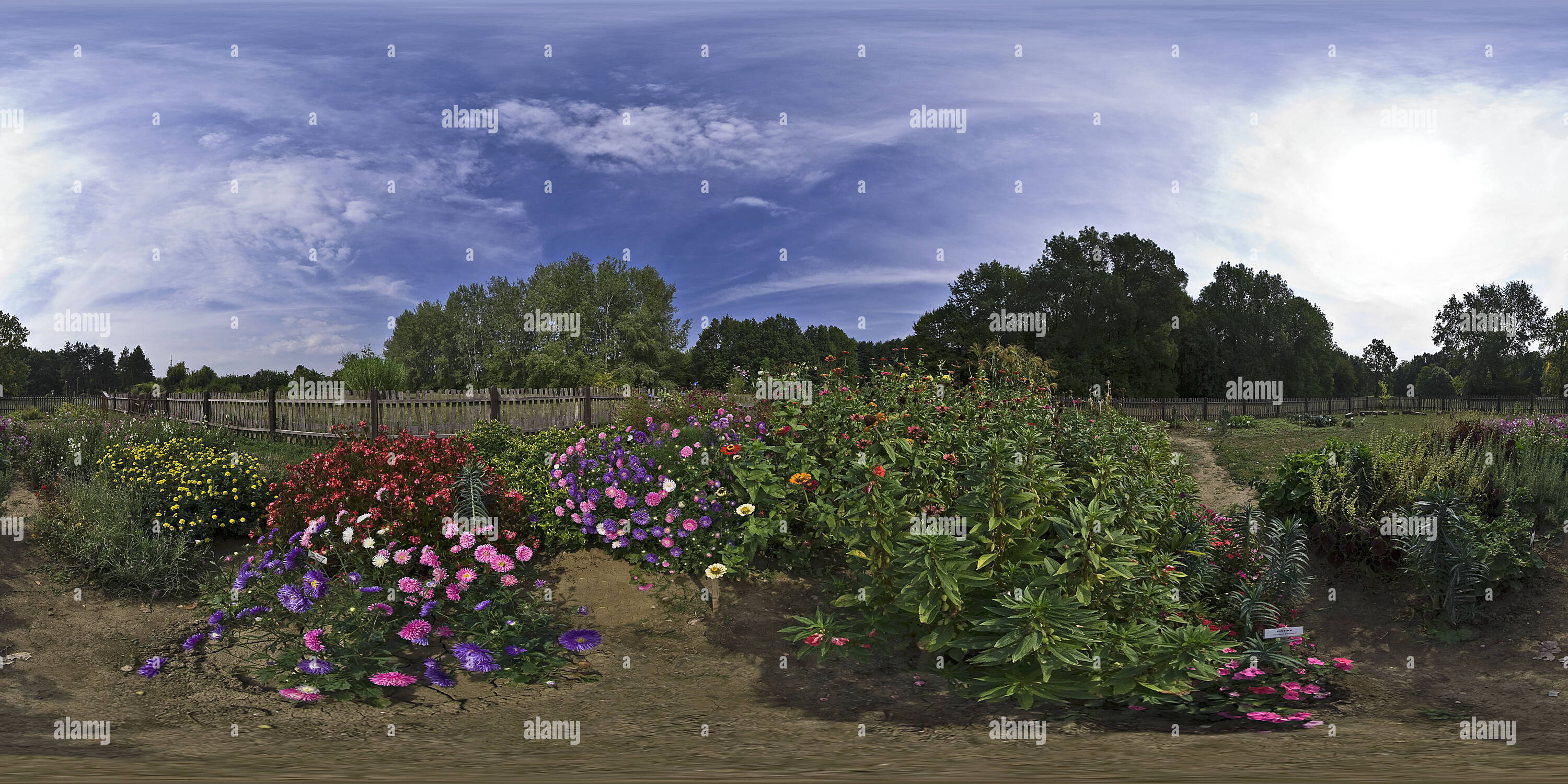 360° view of Traditional Hungarian flower garden - Alamy