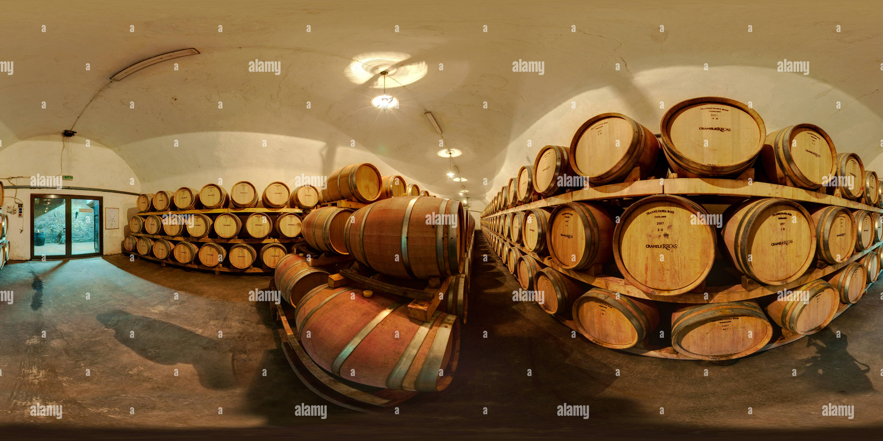 360° view of Barrels at the Recas Winery - Alamy