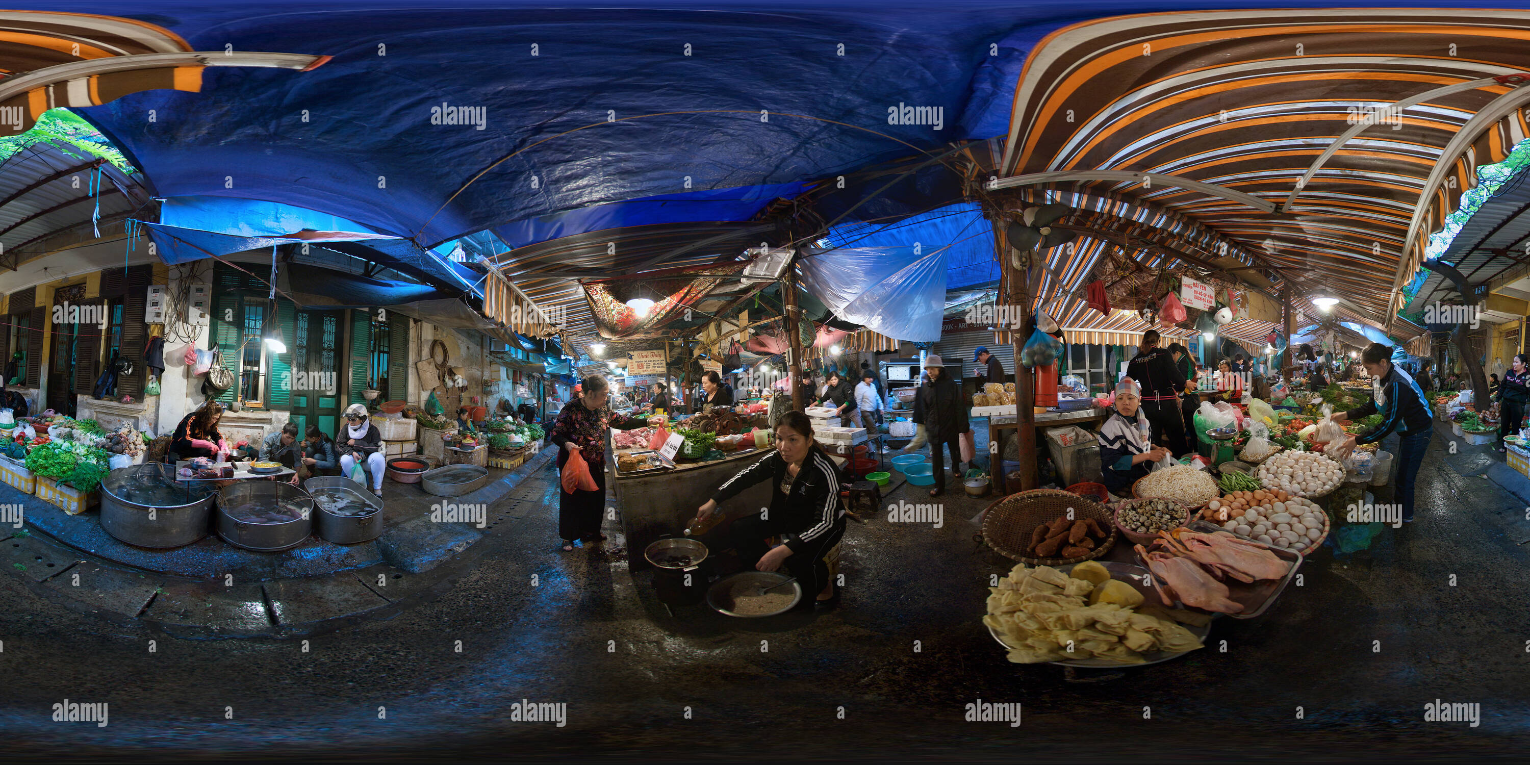 360° view of Poultry and Fish Sellers, Covered Street Market Hanoi - Alamy