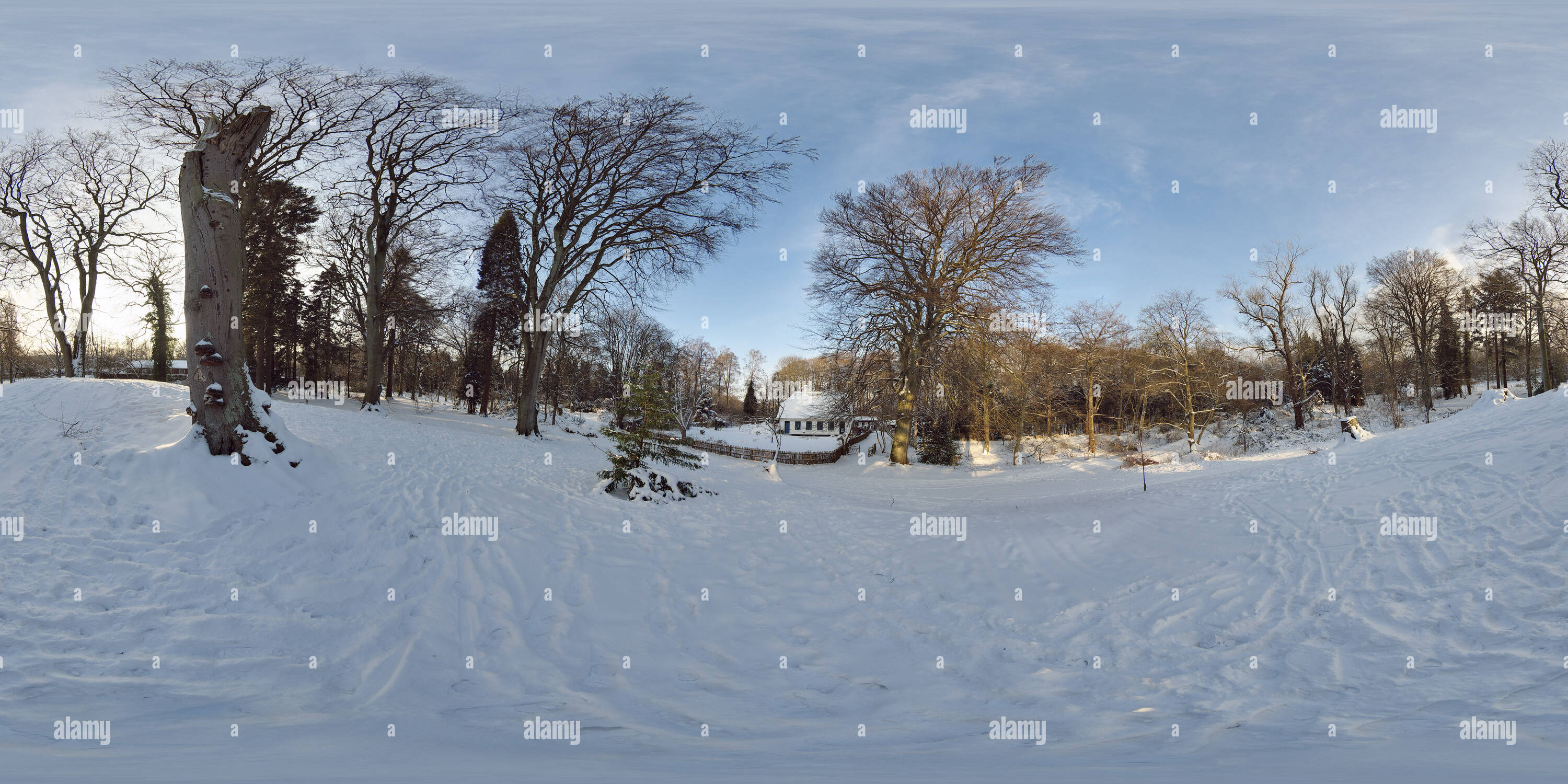 360° view of Snow Landscape At Forstbotanisk Have - Alamy
