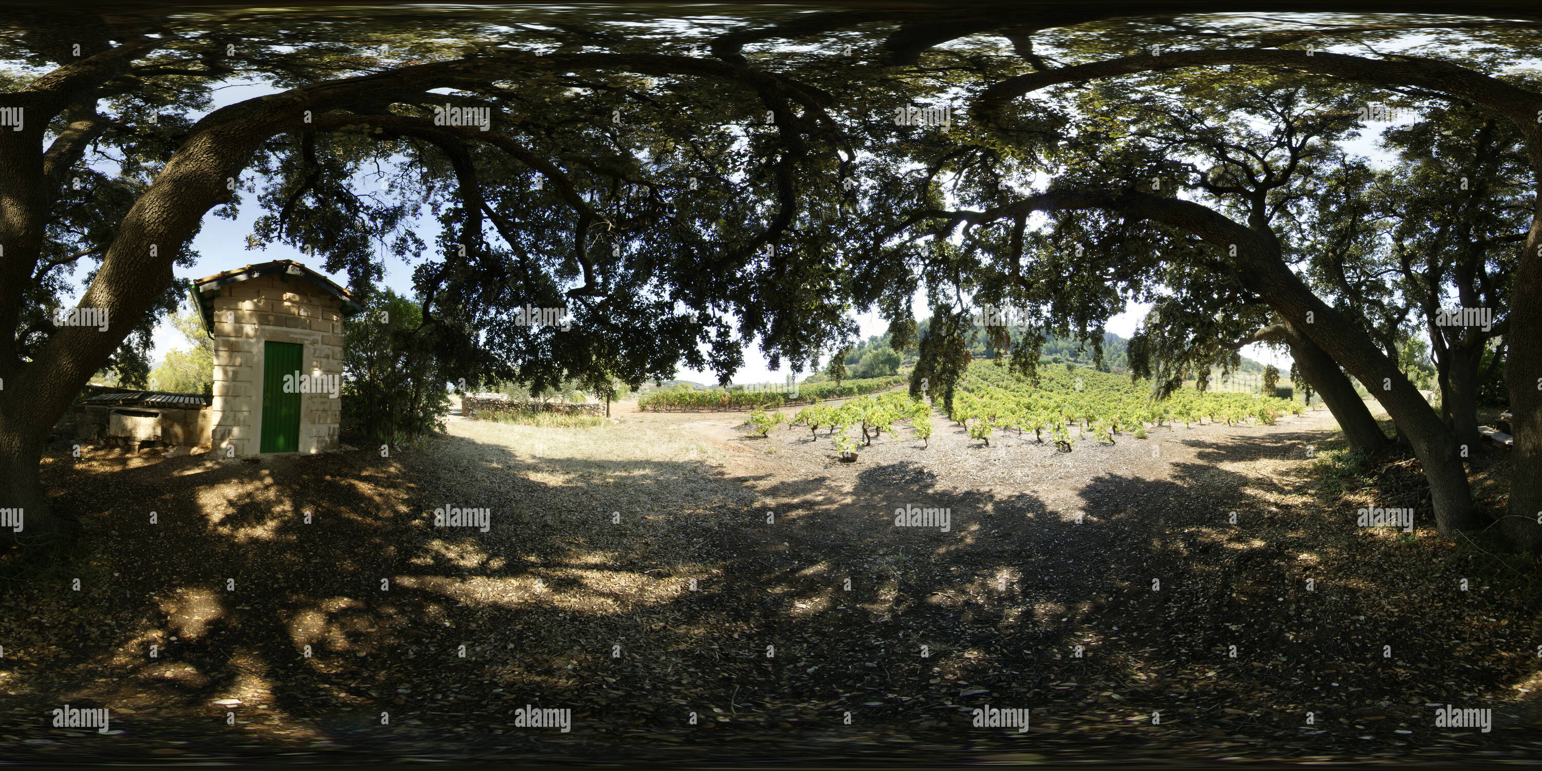 Saint chinian hi-res stock photography and images - Alamy