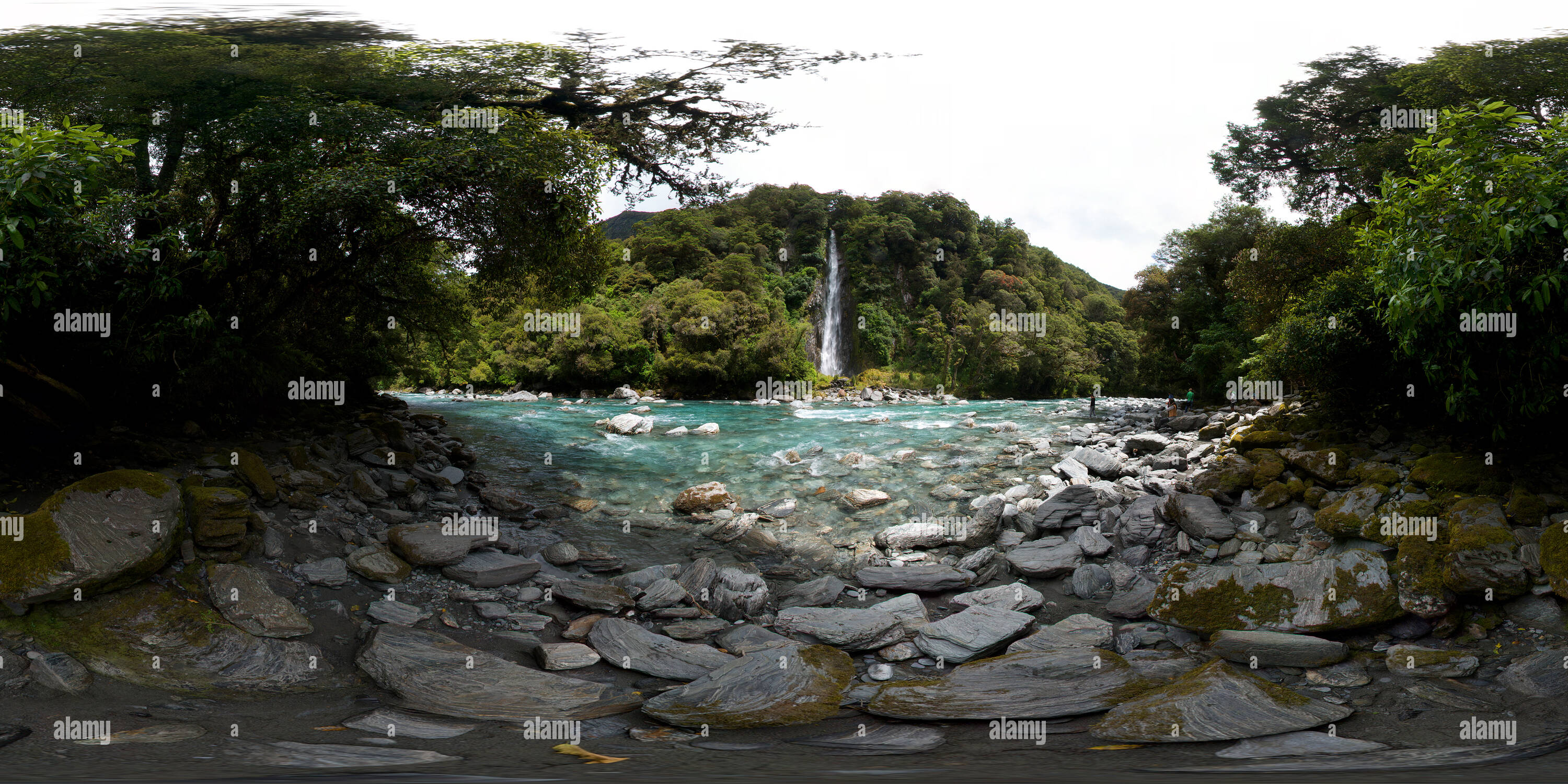 360° view of Thunder Creek Falls, Haast River - Alamy