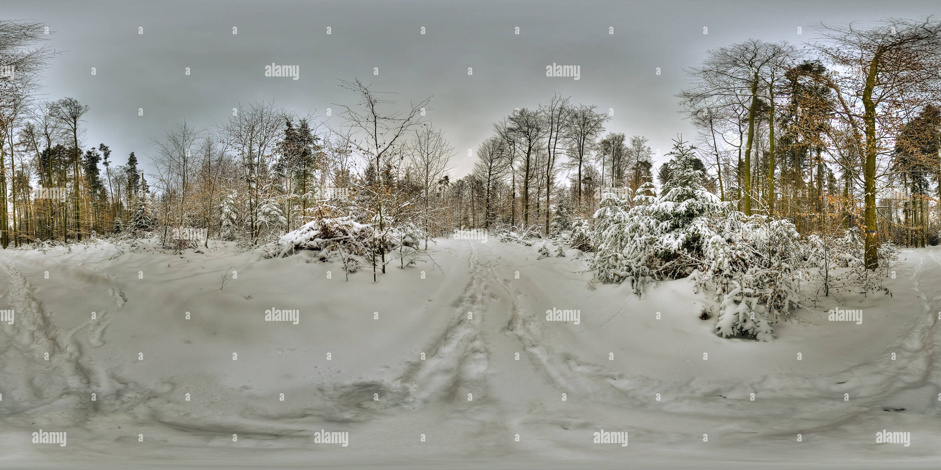360° view of Winter scenery - Schurwald - Alamy