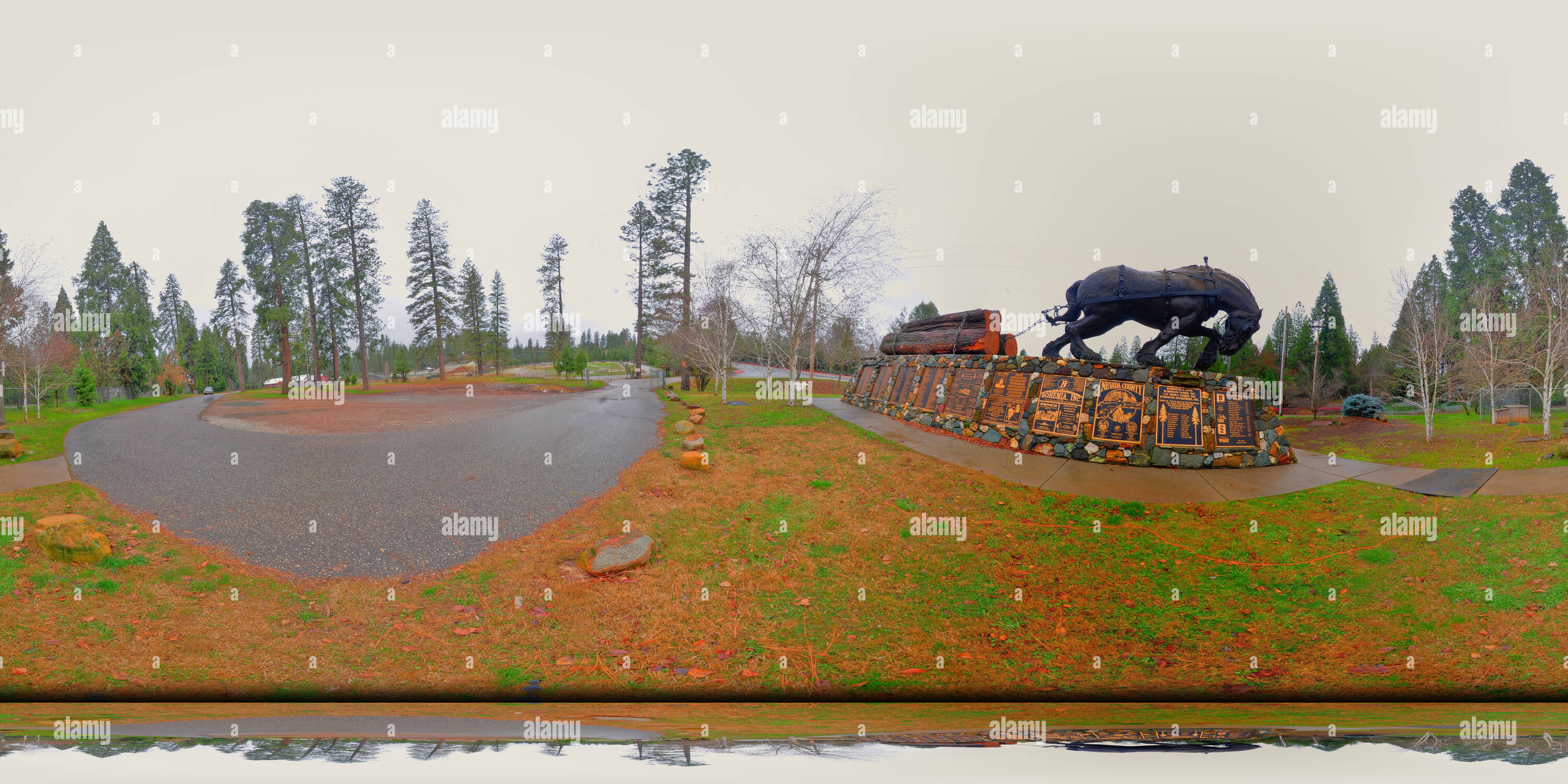 360° view of A tribute to the Gold Rush draft horses - Alamy