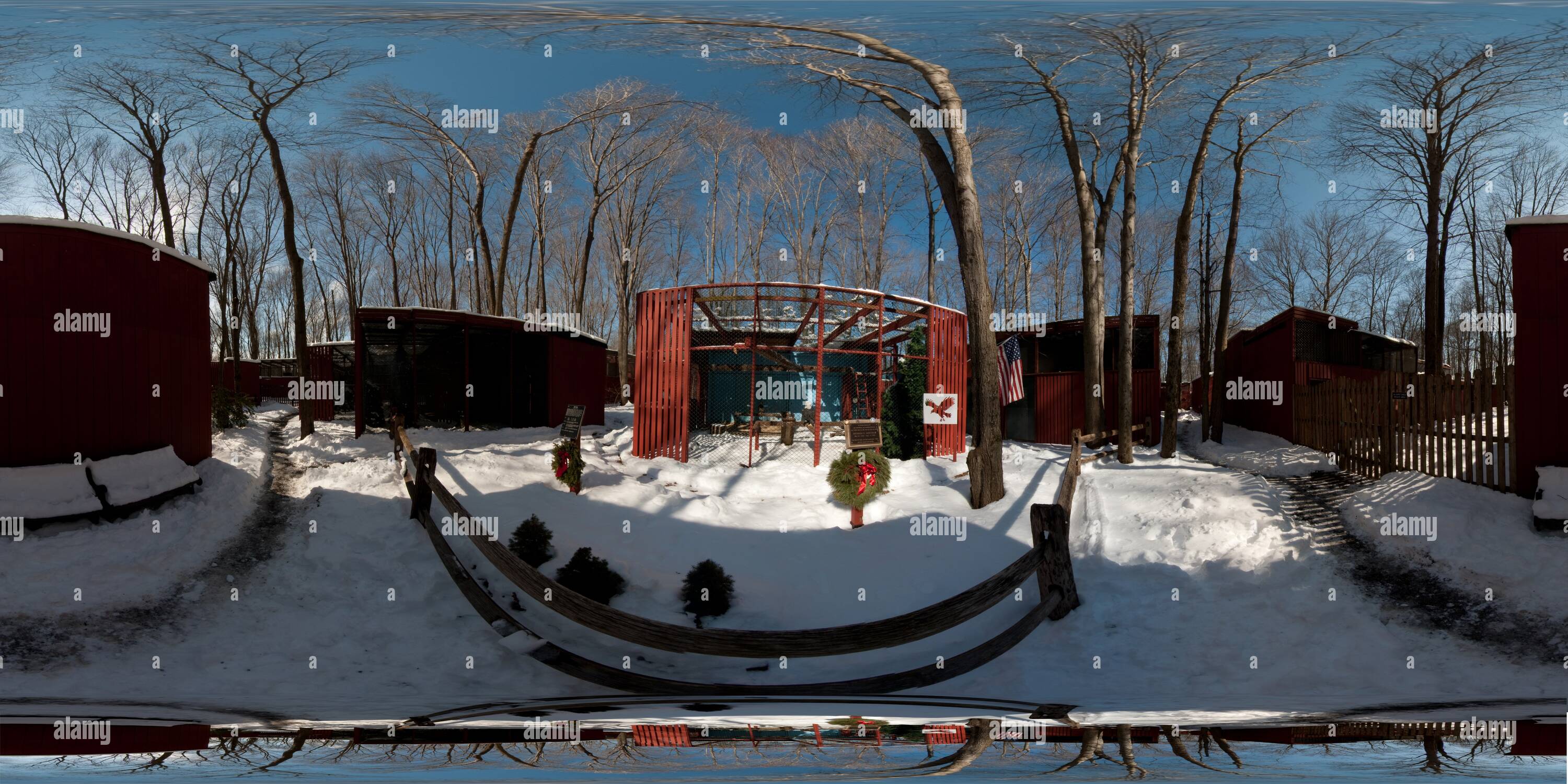 360° view of Bald Eagle Raptor Trust Nj 2 - Alamy