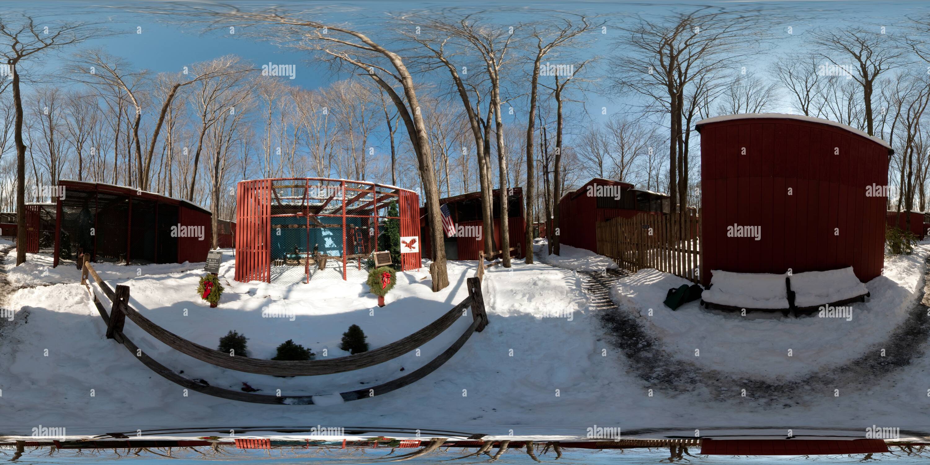 360° view of Bald Eagle Raptor Trust Nj - Alamy