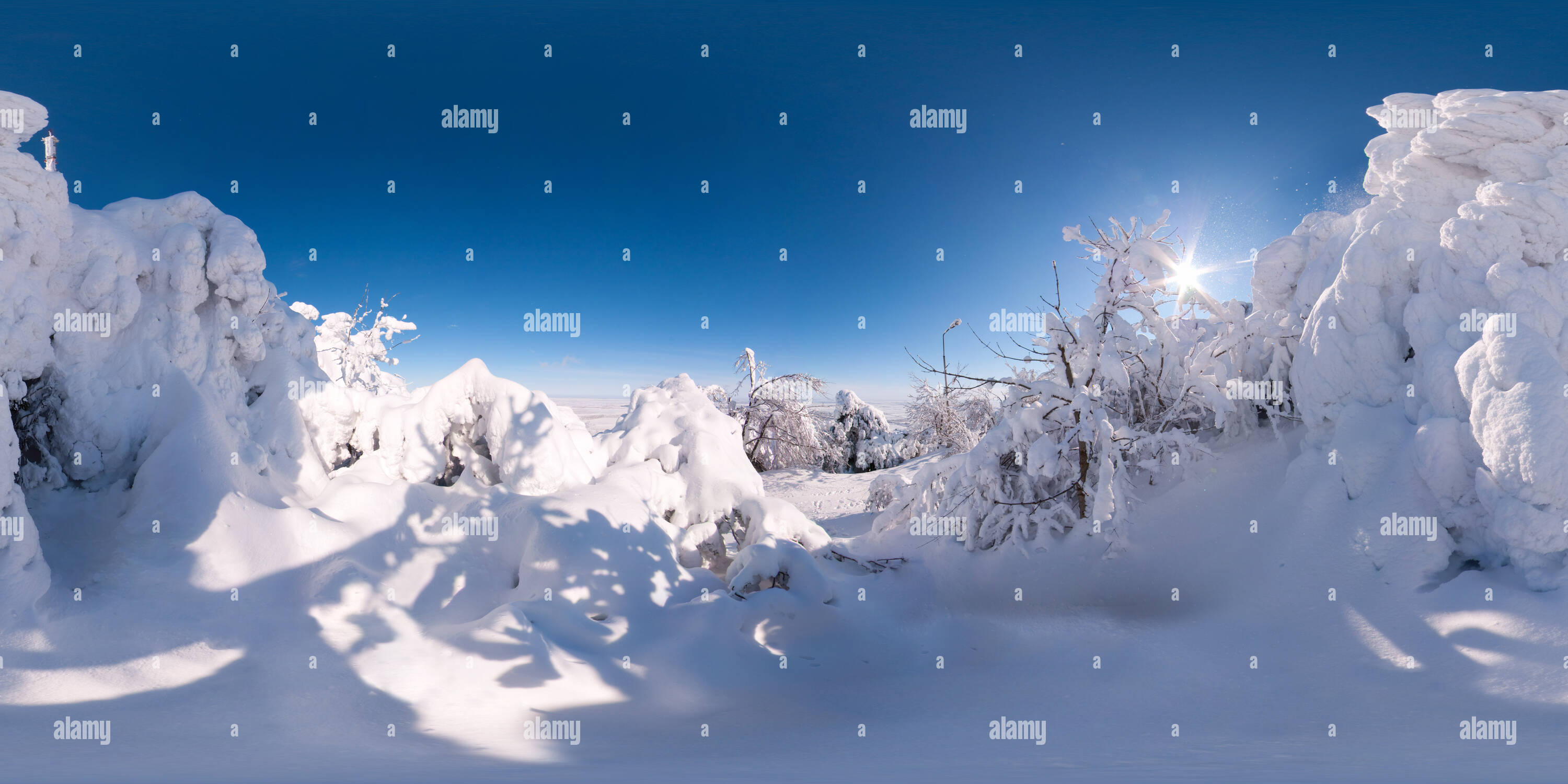 360° view of Snow Mounts in the bushes - Alamy