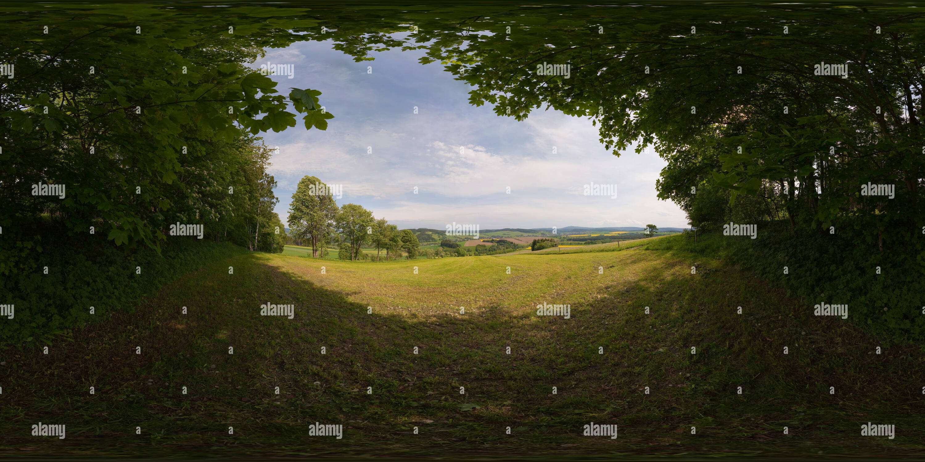Basalt columns at the scheibenberg hi-res stock photography and images ...