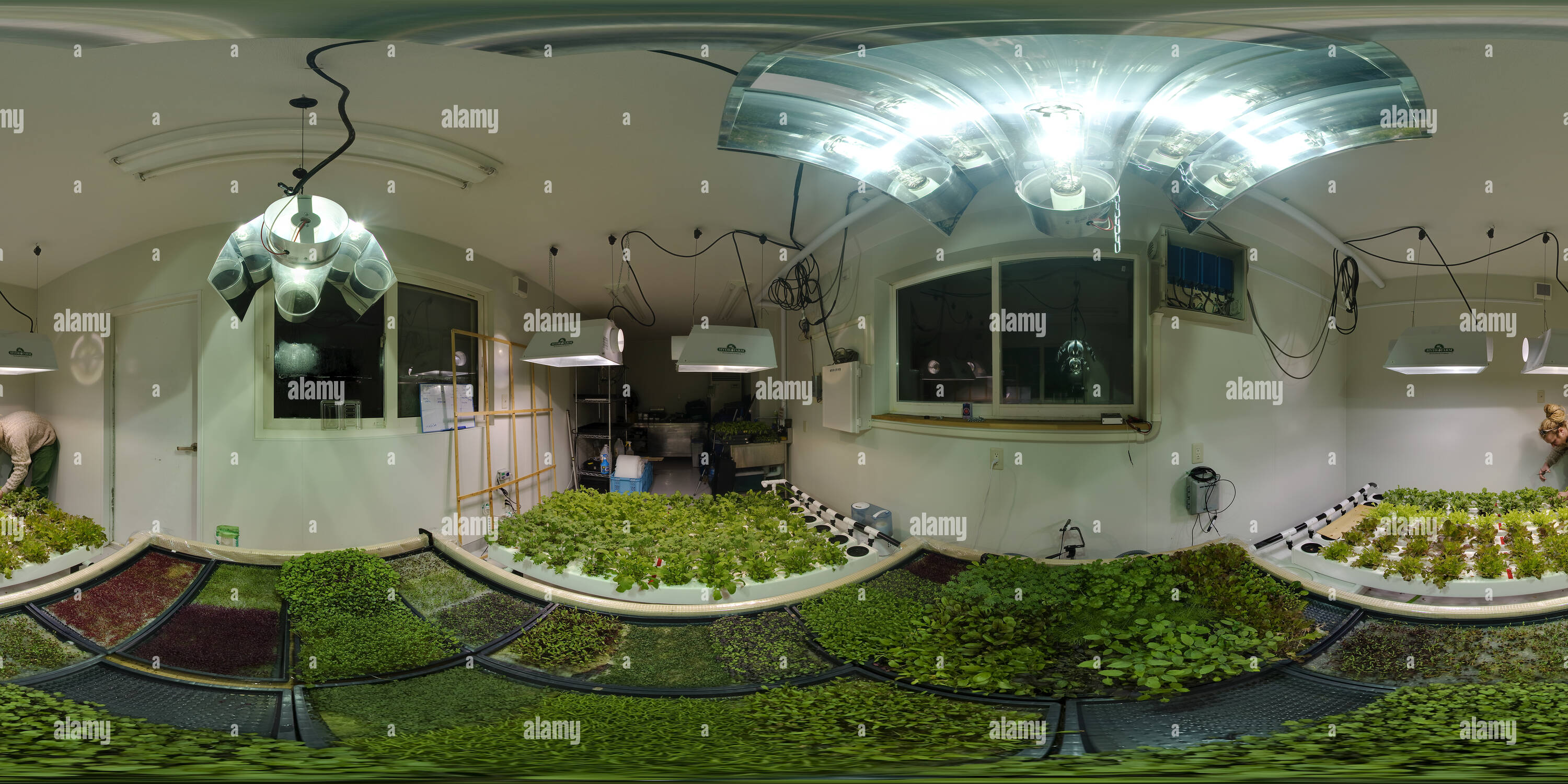 360° view of Niseko Green Farm Hydroponic Micro Vegetable Production ...
