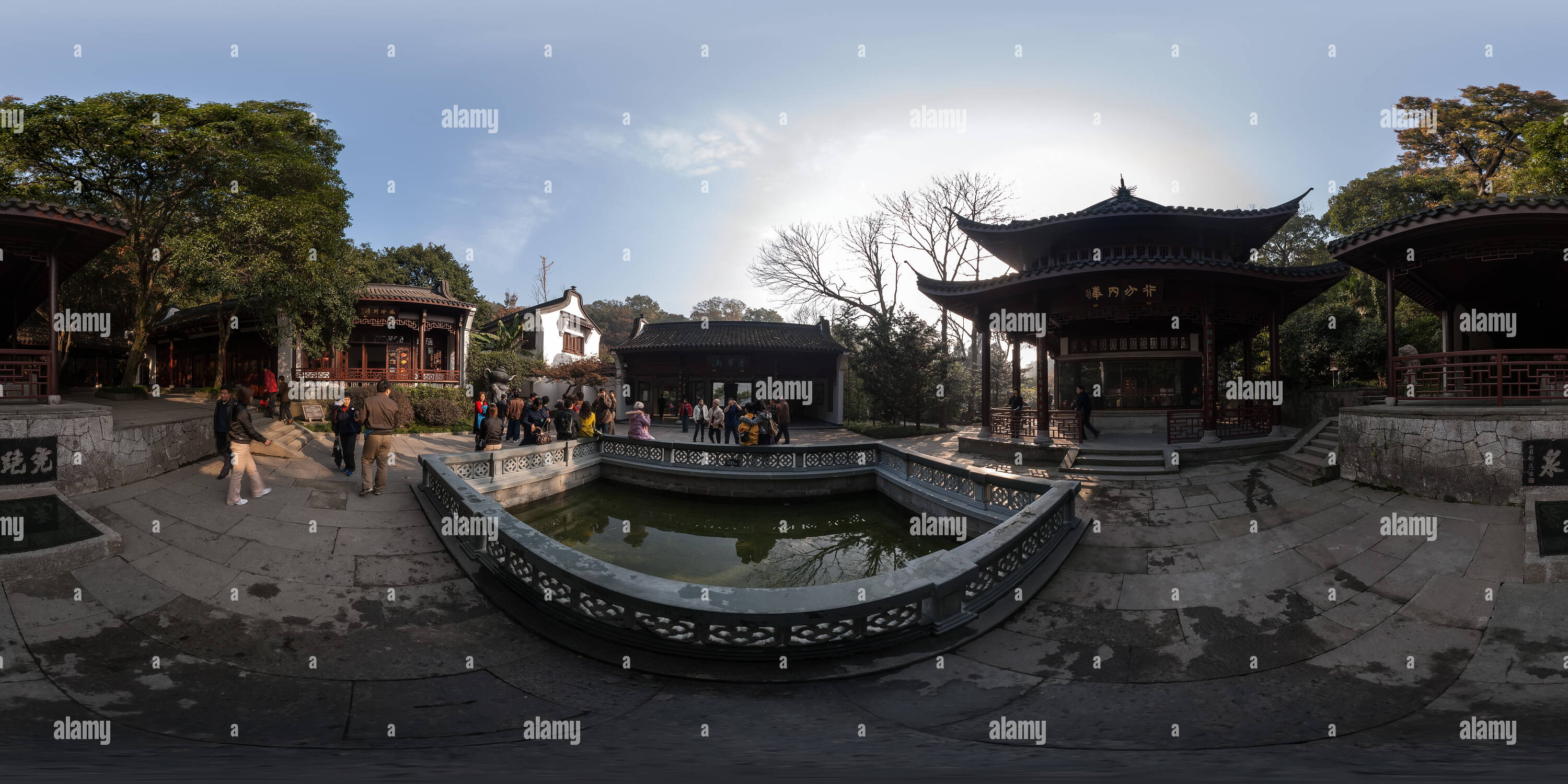 360° view of The Hangzhou tiger runs the spring - Alamy