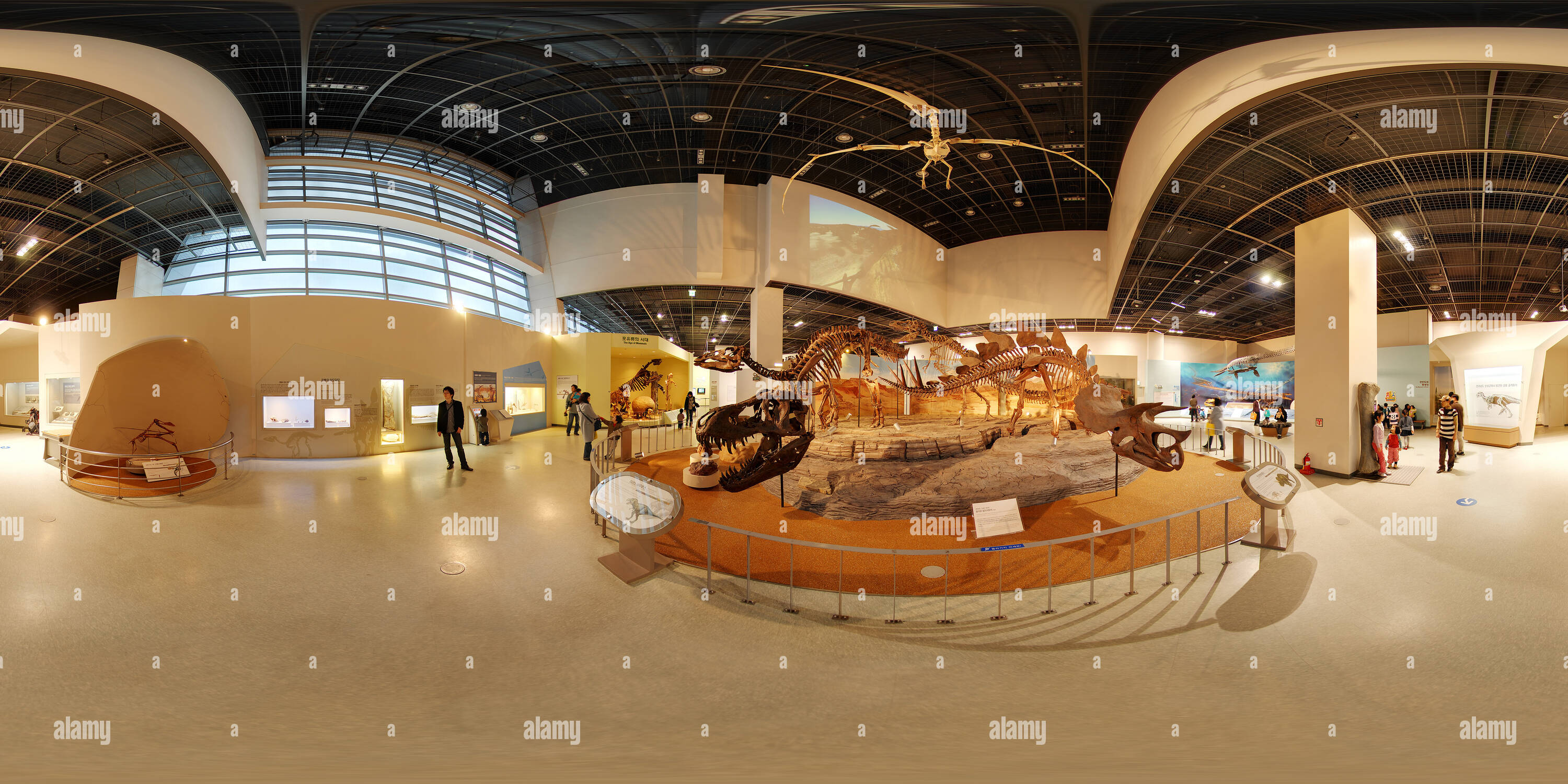360° view of Natural History Exhibition, Gwacheon National Science ...