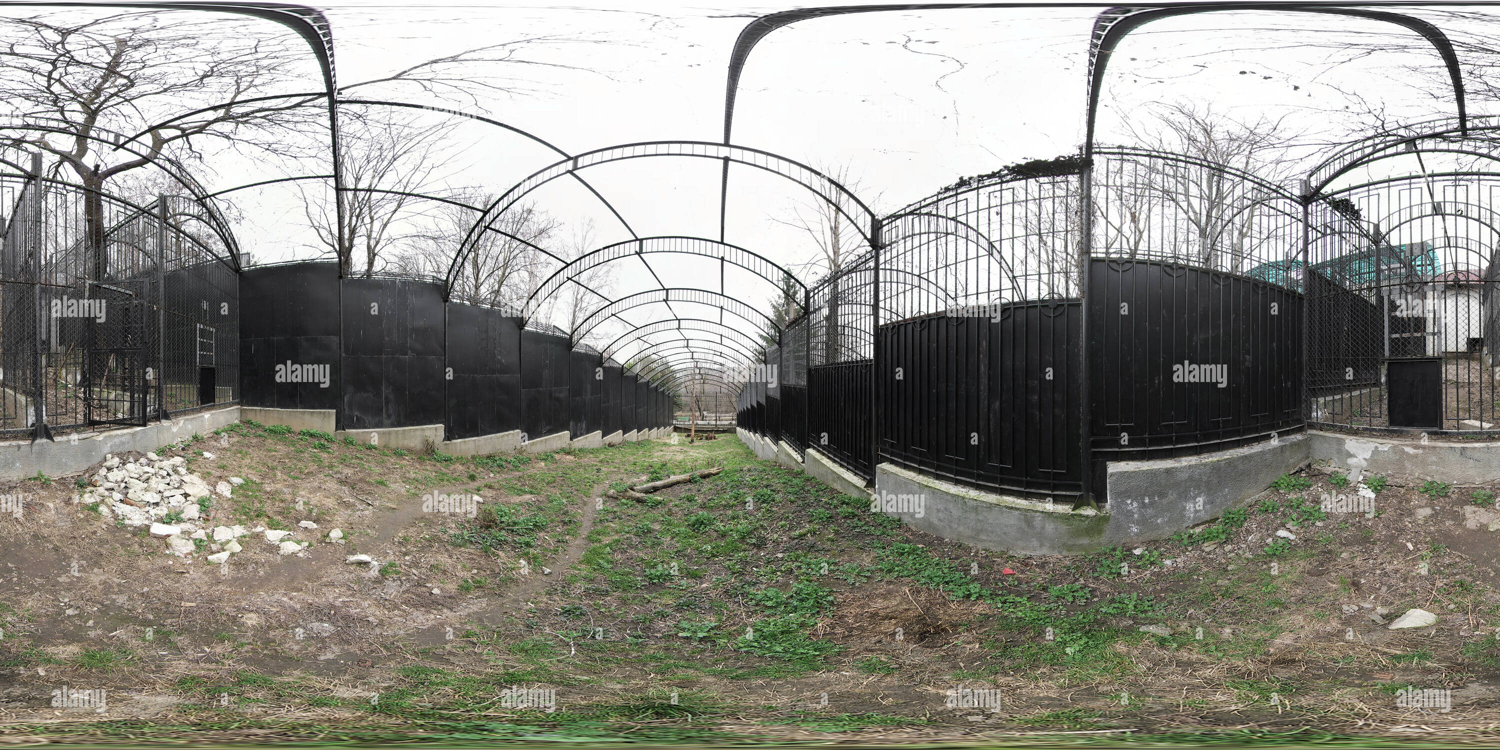 360° view of Zoo Kishinev Moldova 2010 03 23 In an open-air cage of a ...