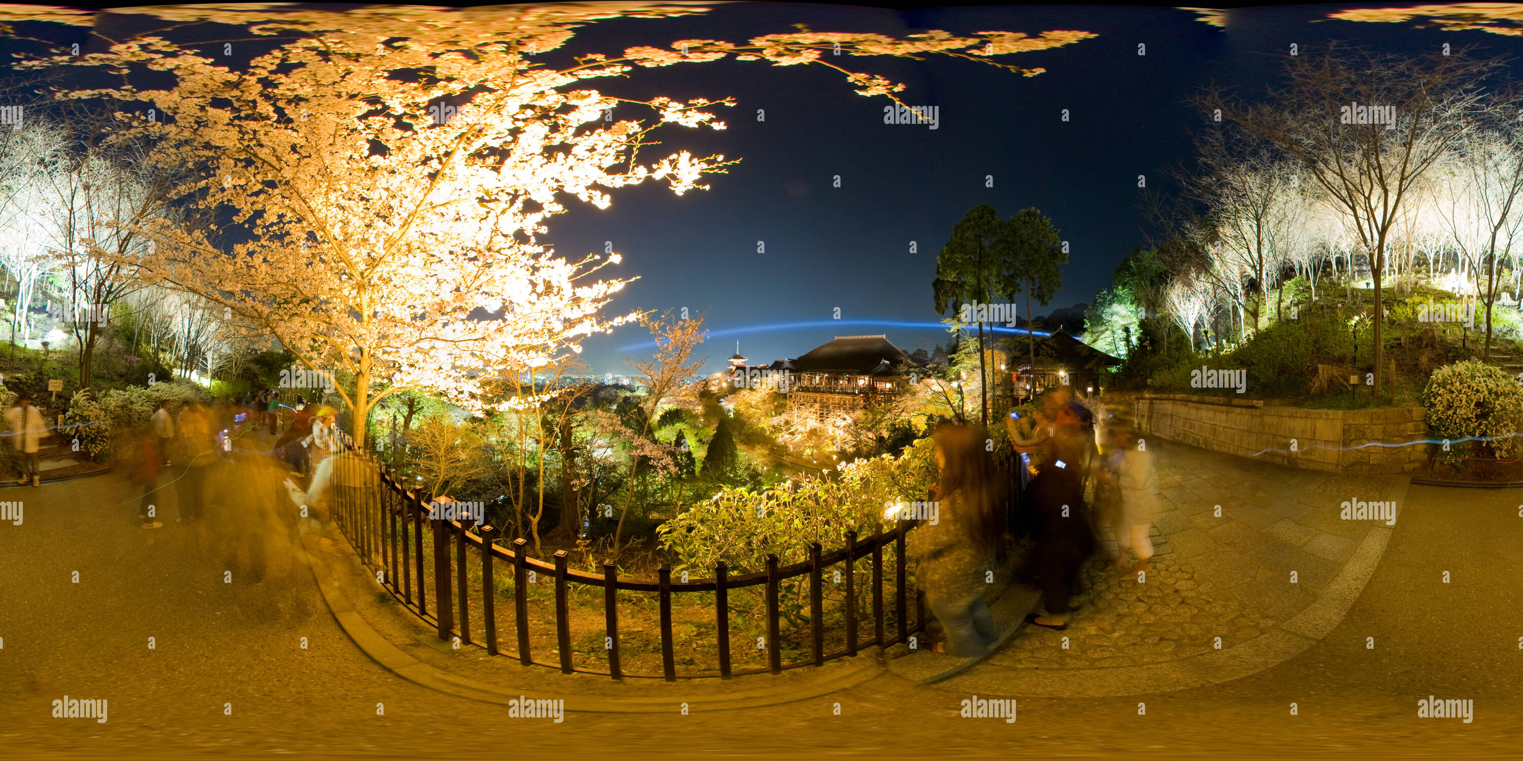 360° view of Kiyomizudera Night Sakura - Alamy