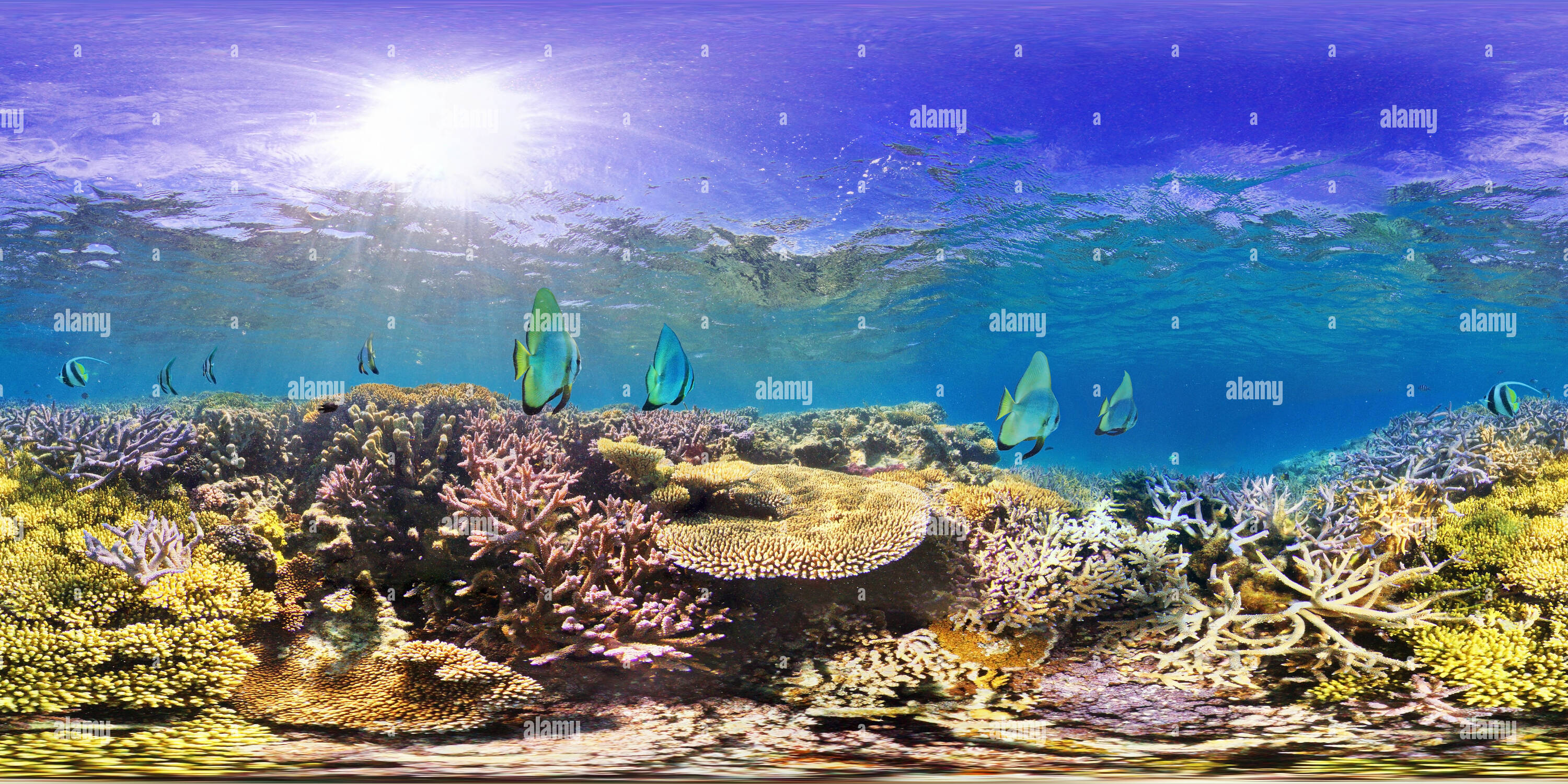 World heritage site new caledonia hi-res stock photography and images ...