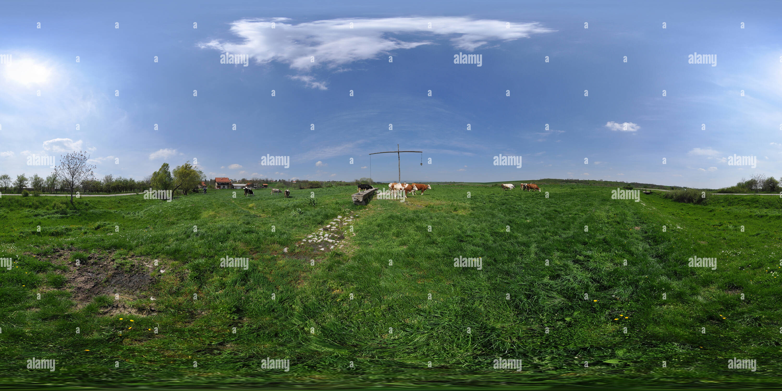 360° view of Pavlovci, đeram & krave - Alamy