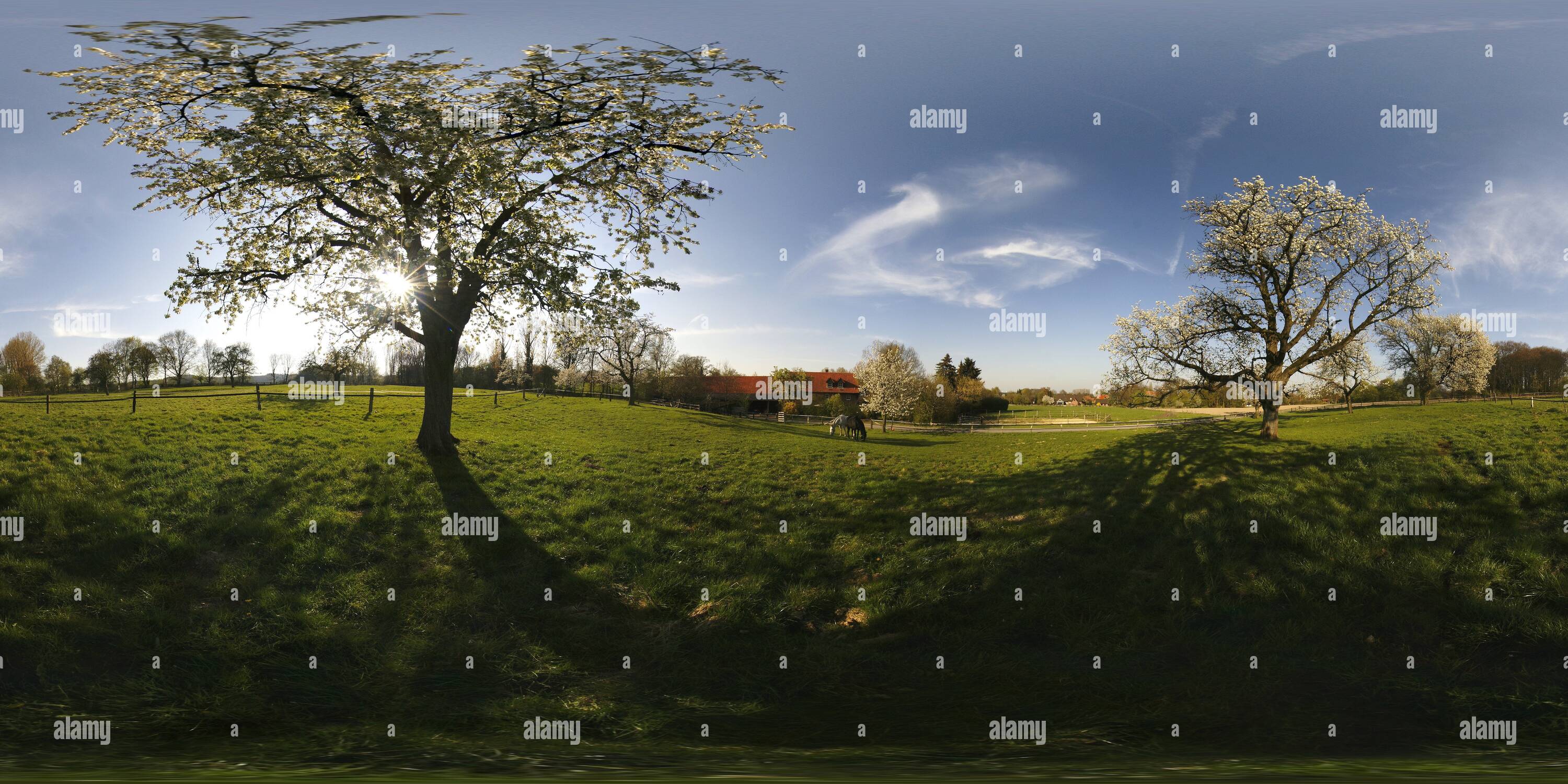 Jeiler hi-res stock photography and images - Alamy