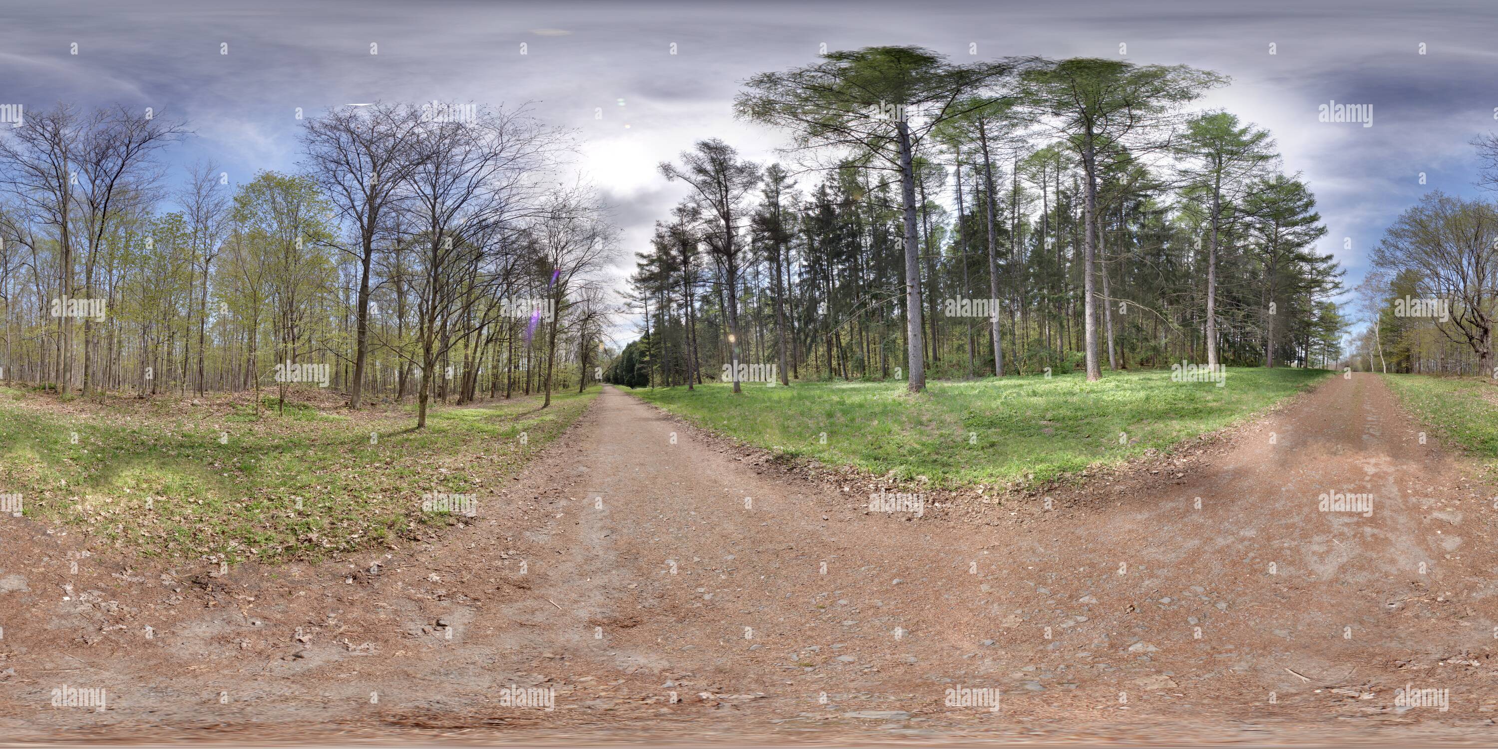 Morgan arboretum hi-res stock photography and images - Alamy
