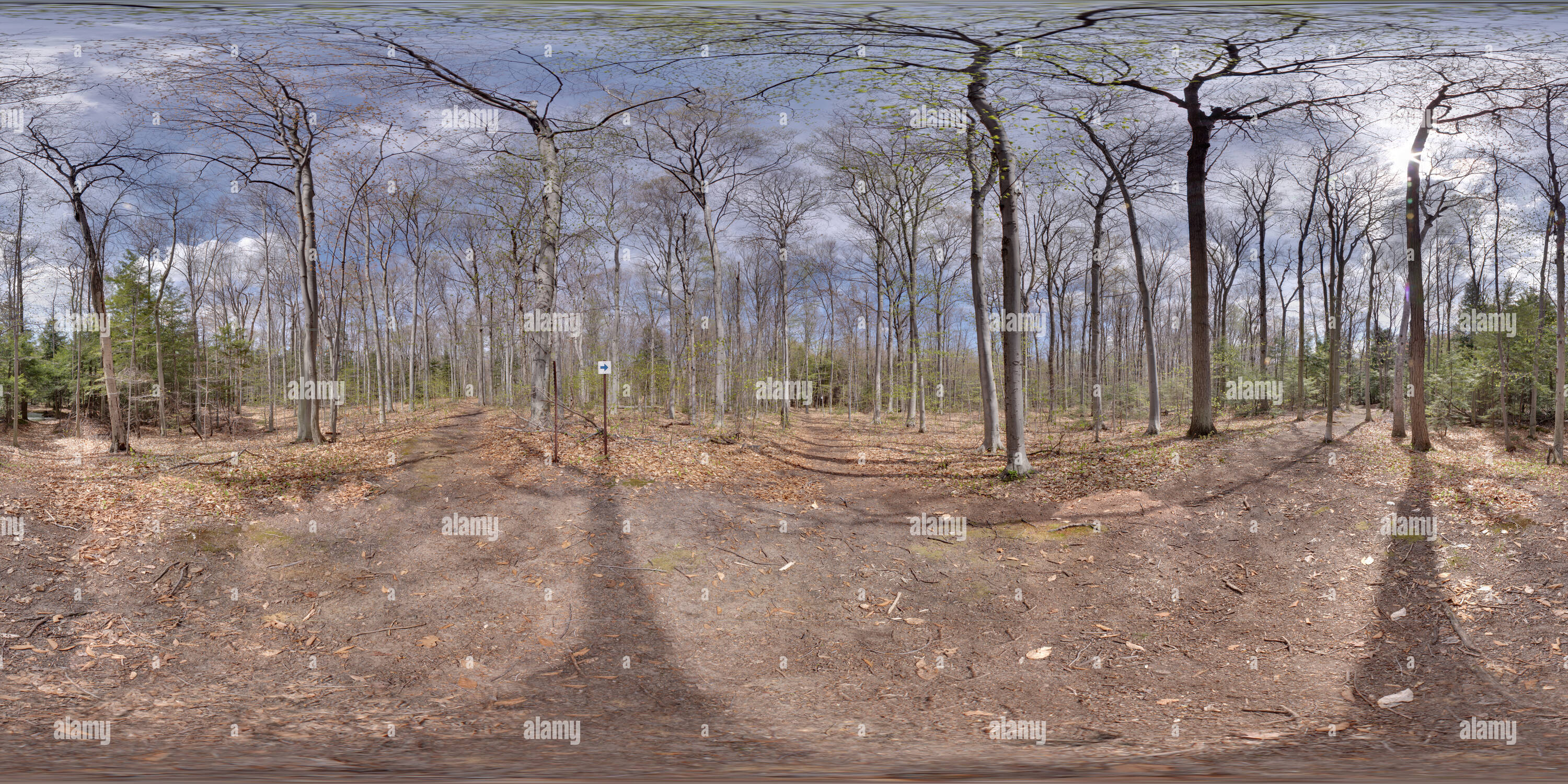 Morgan arboretum hi-res stock photography and images - Alamy