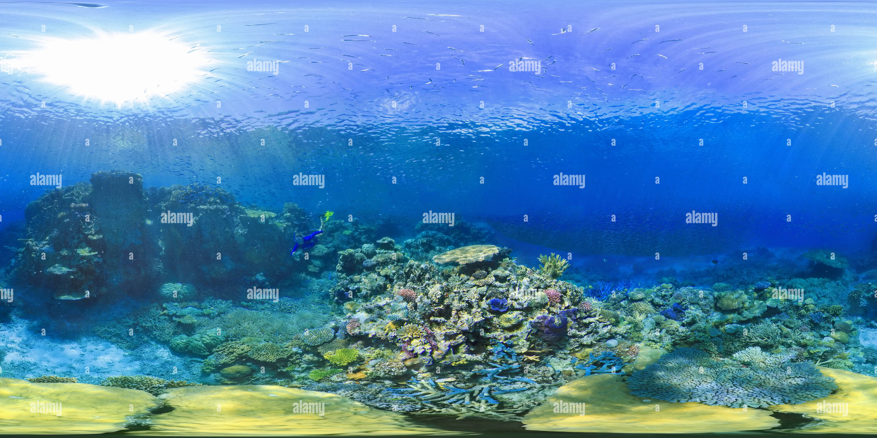360° view of New Caledonia Underwater Photography and virtual reality ...