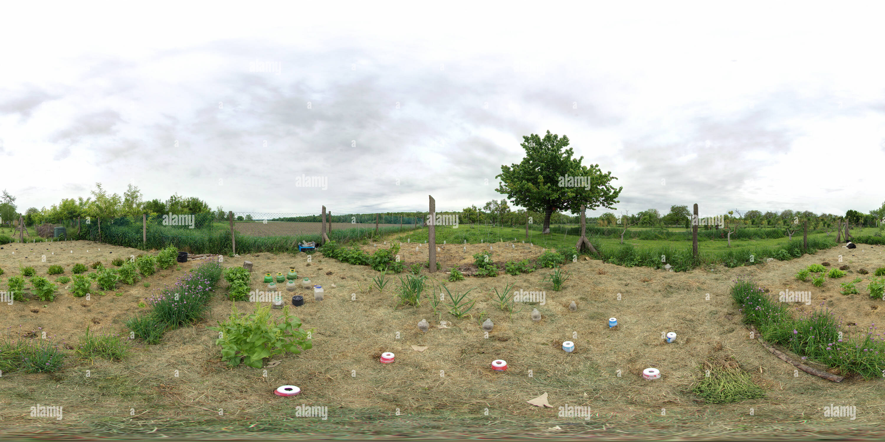 Moestuin hi-res stock photography and images - Alamy