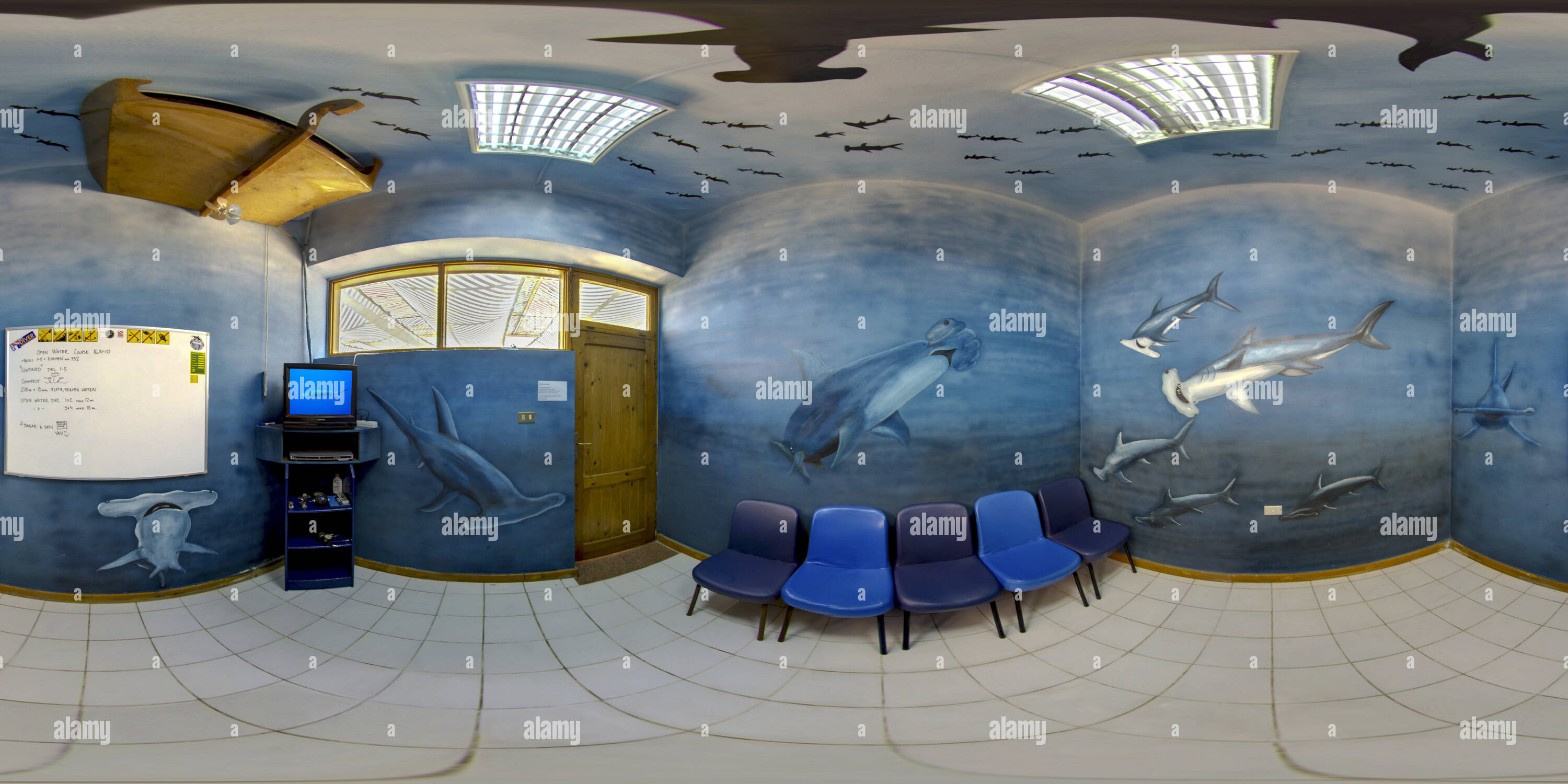360° view of Sharks are friends - Alamy