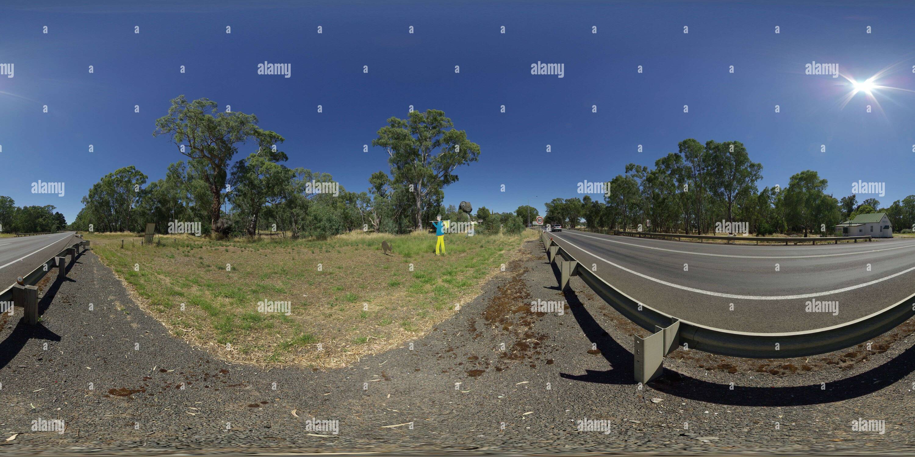 Koala bridge hi-res stock photography and images - Alamy