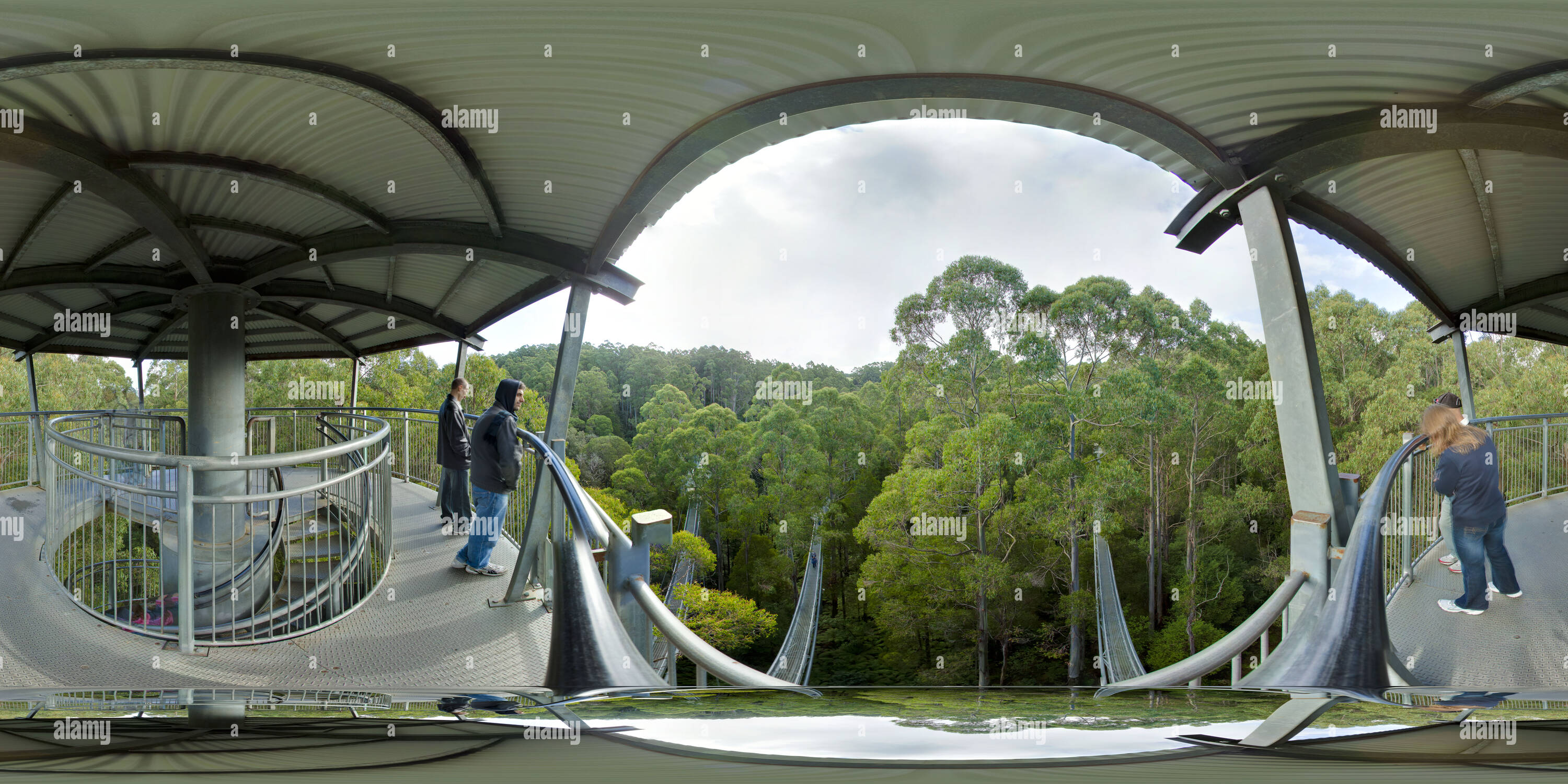 360° view of Viewing Tower, Otway Fly - Alamy