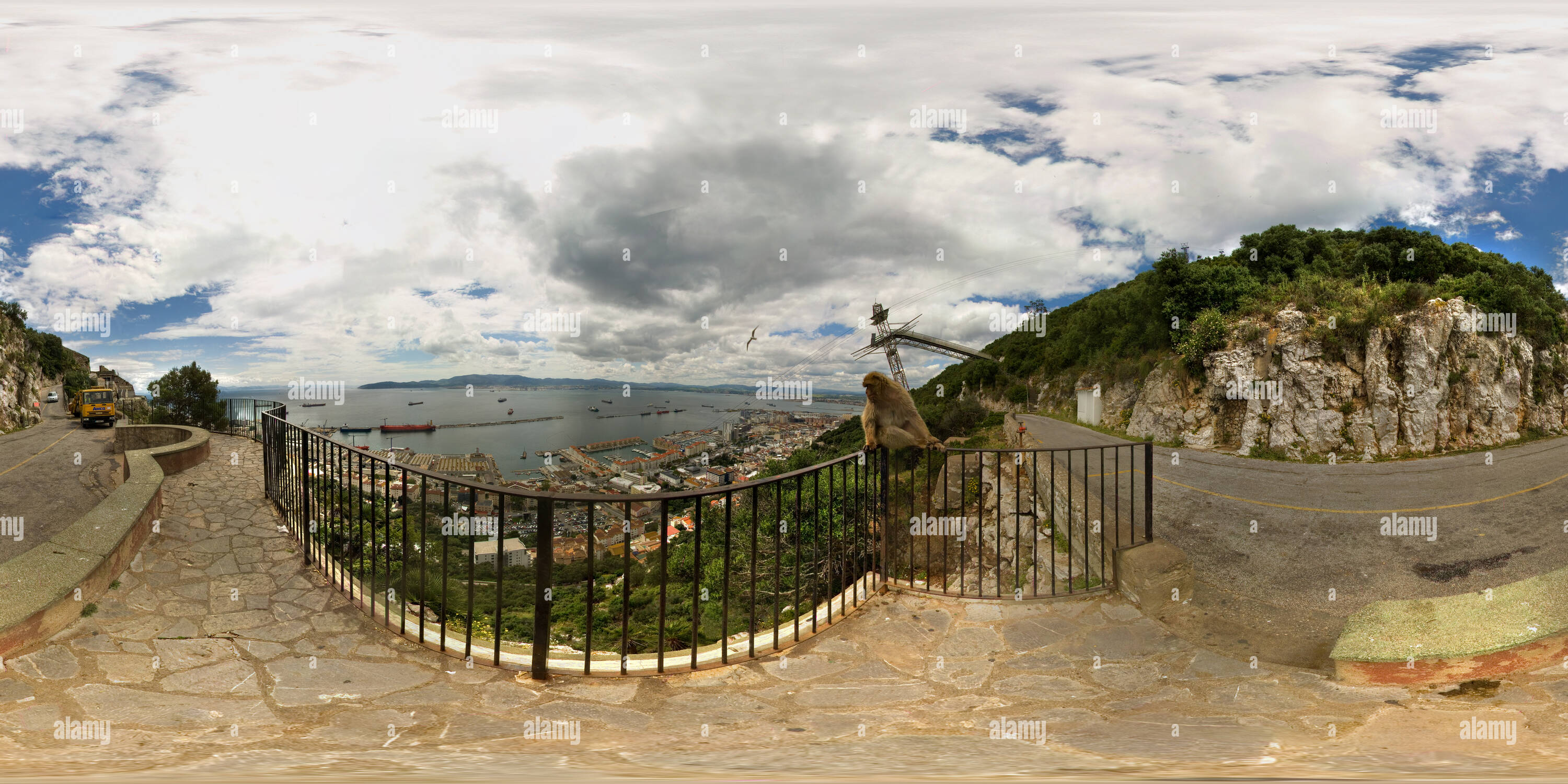 360° view of Gibraltar Barbary Macaque, Upper Rock Nature Reserve ...