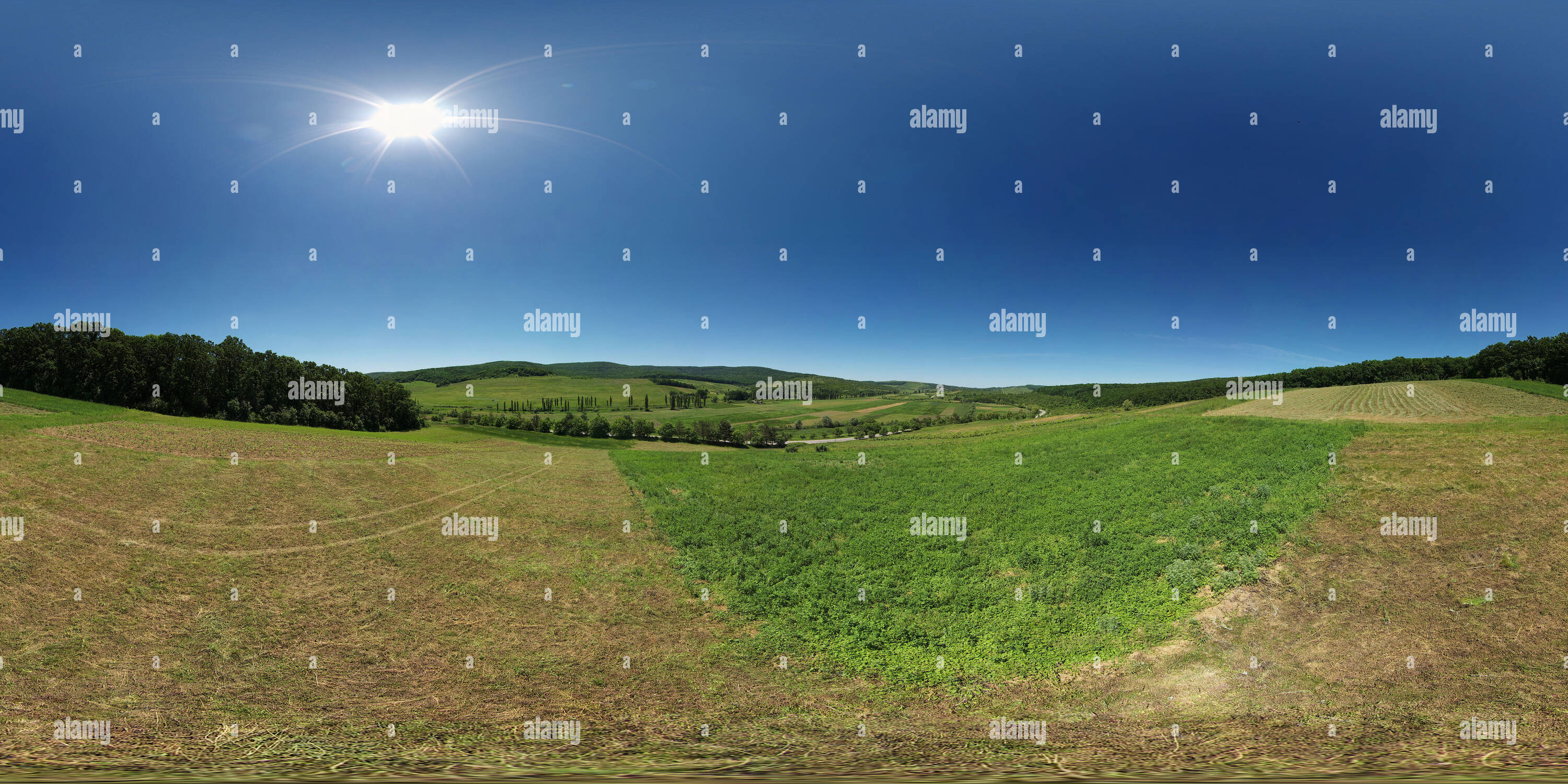 Cornesti hi-res stock photography and images - Alamy