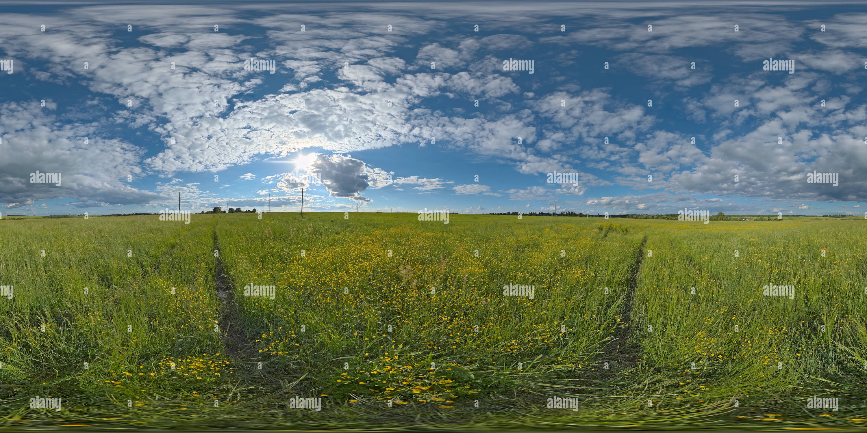 360° view of Road to village - Alamy