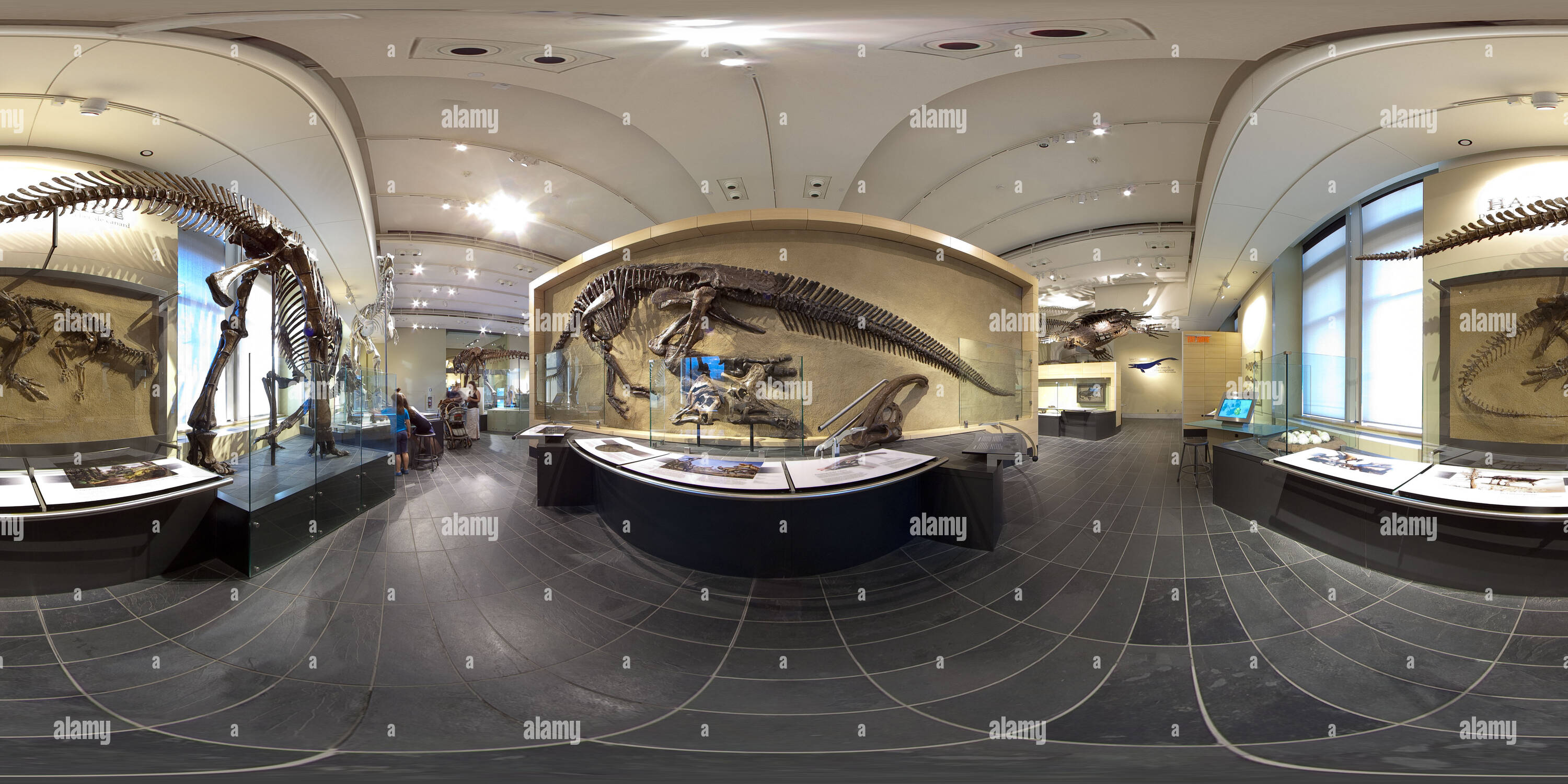 360° view of Canadian Museum of Nature - Alamy