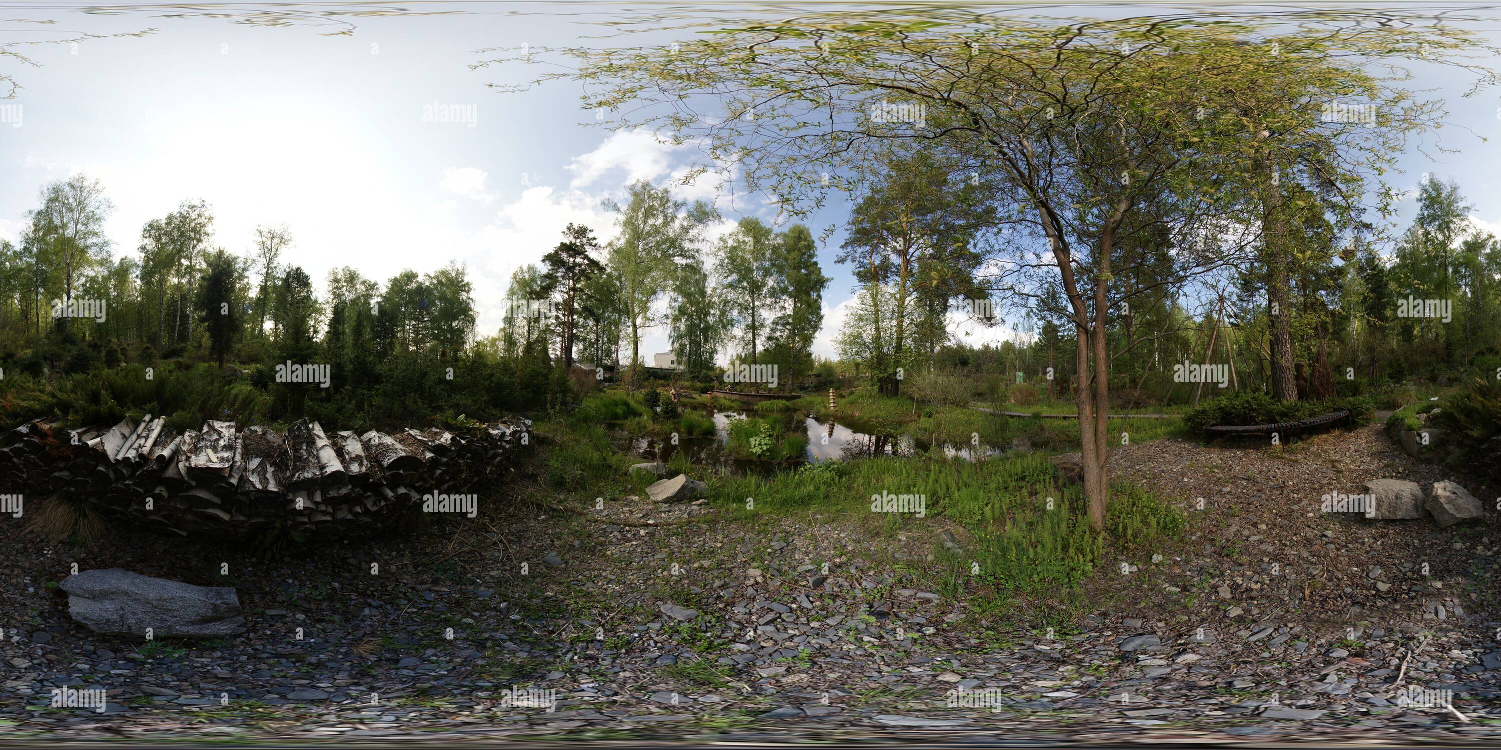 360° view of Bonsai garden. Pond - Alamy