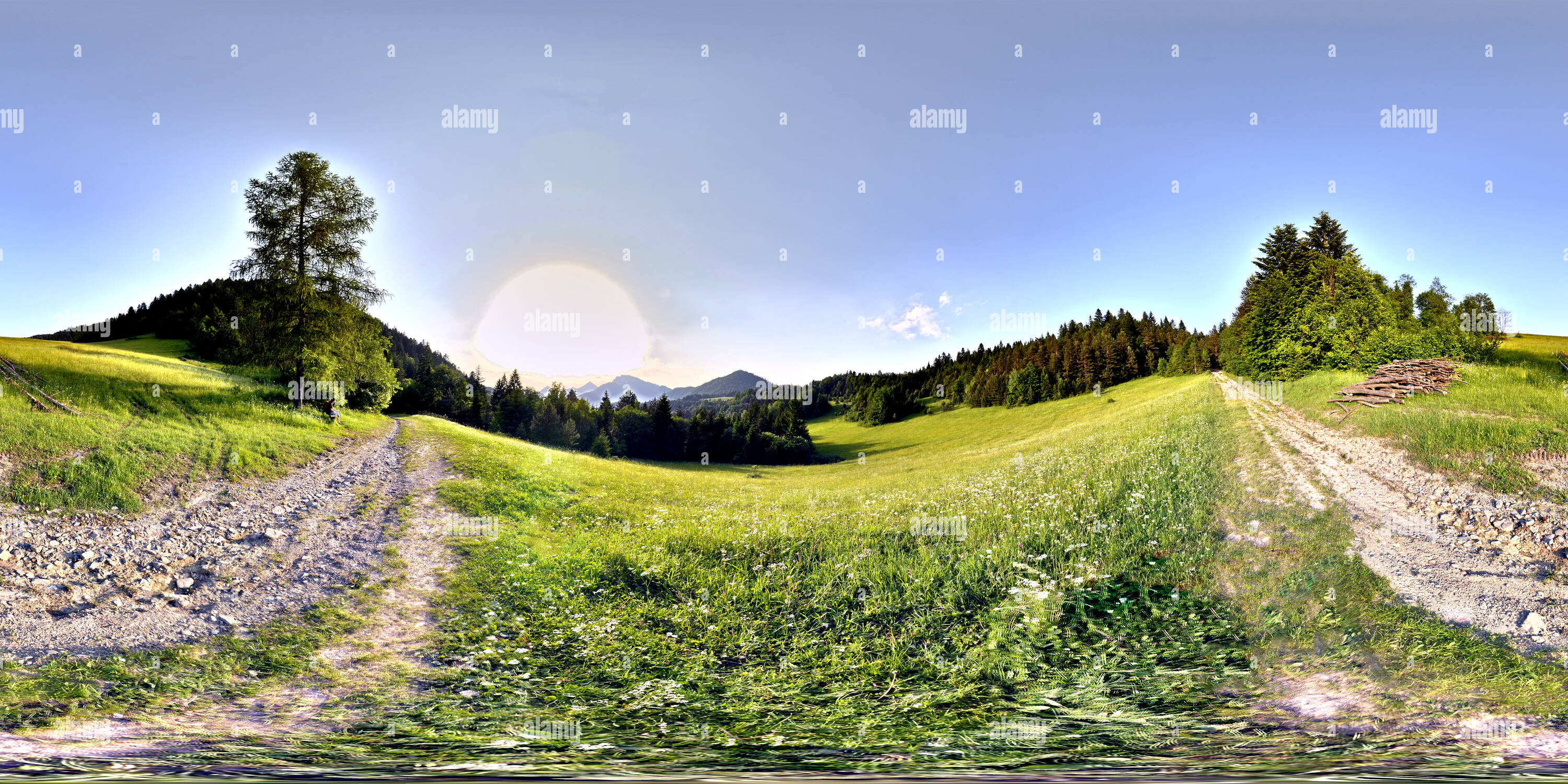 Modrej hi-res stock photography and images - Alamy