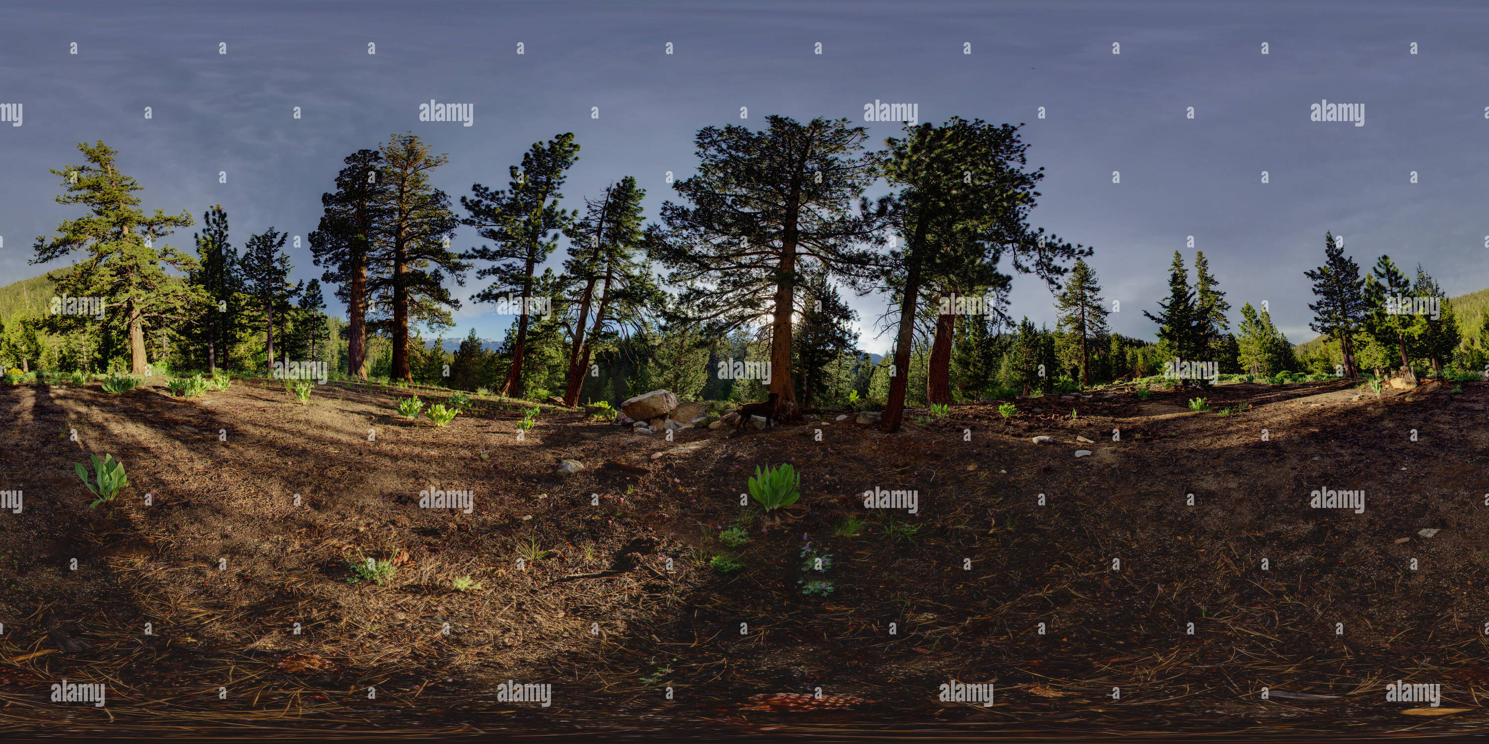 360° view of Hope Valley, California - Alamy