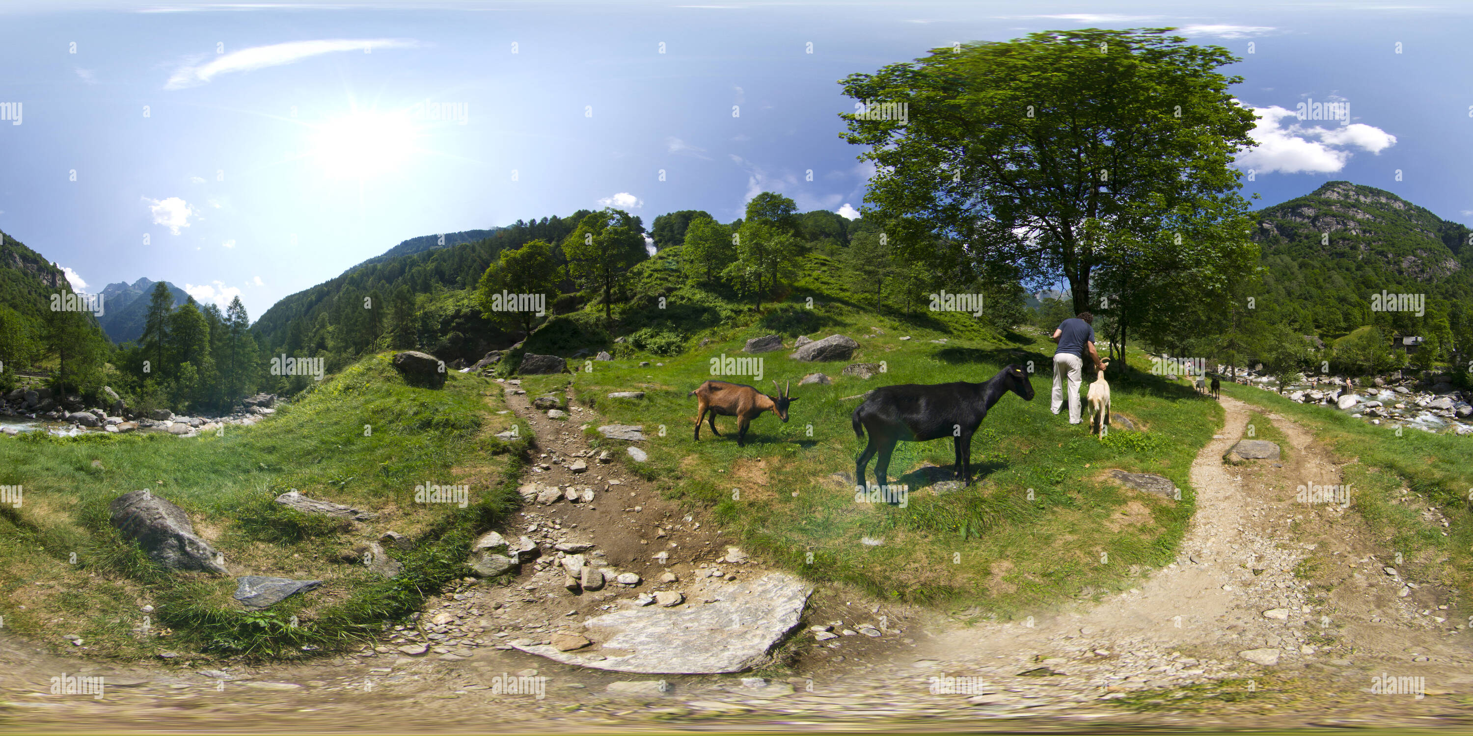 Froda hi-res stock photography and images - Alamy