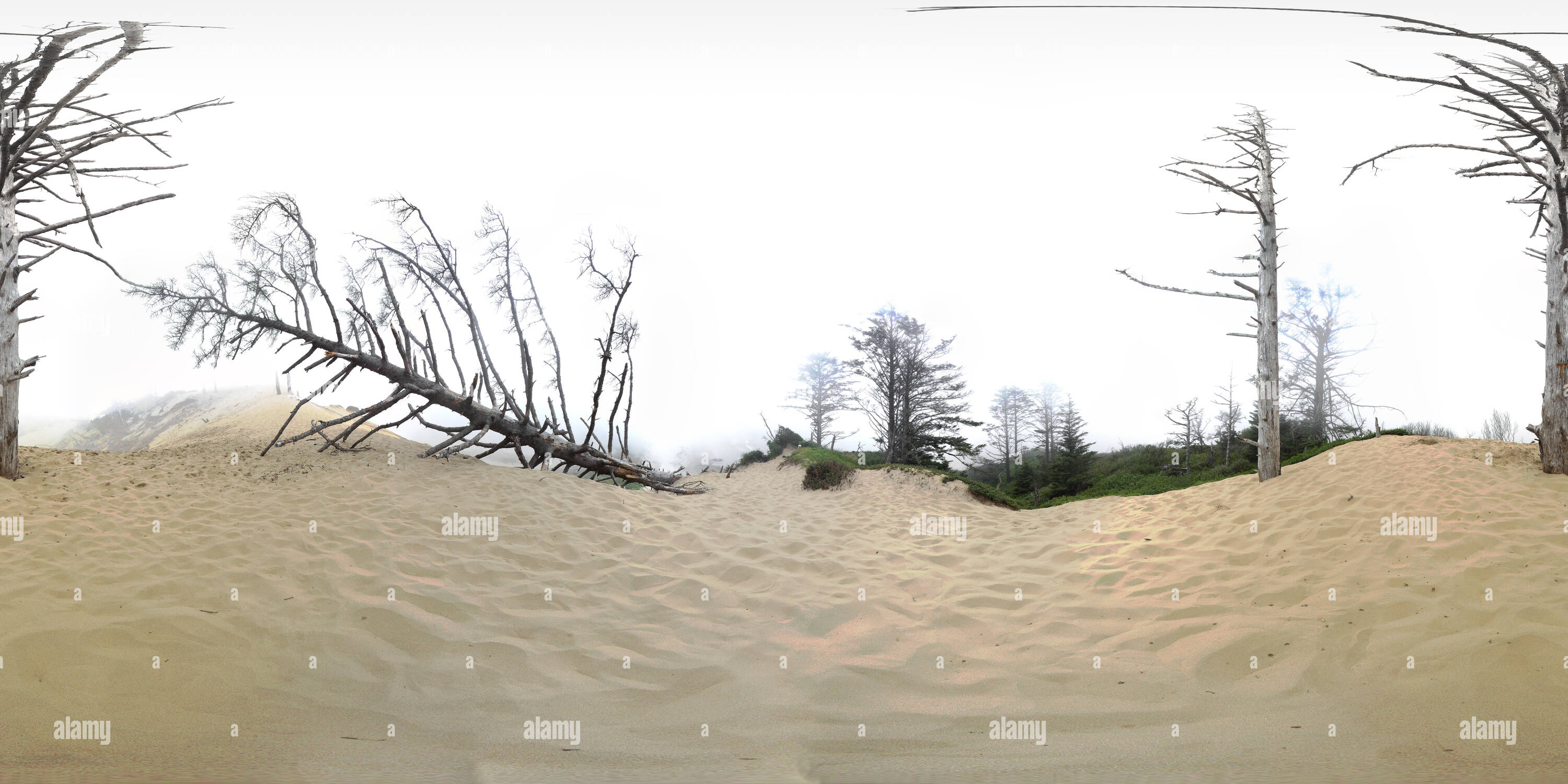 360° view of Cape Kiwanda dune top - Alamy