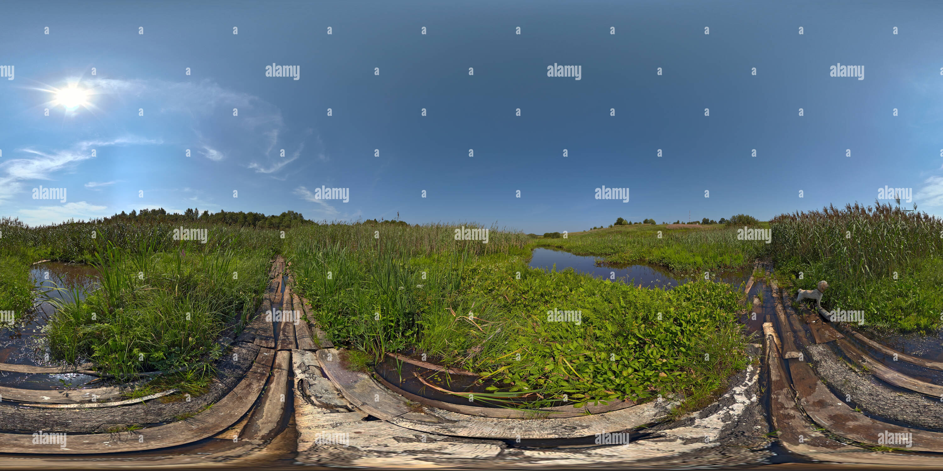 Vyazma High Resolution Stock Photography and Images - Alamy