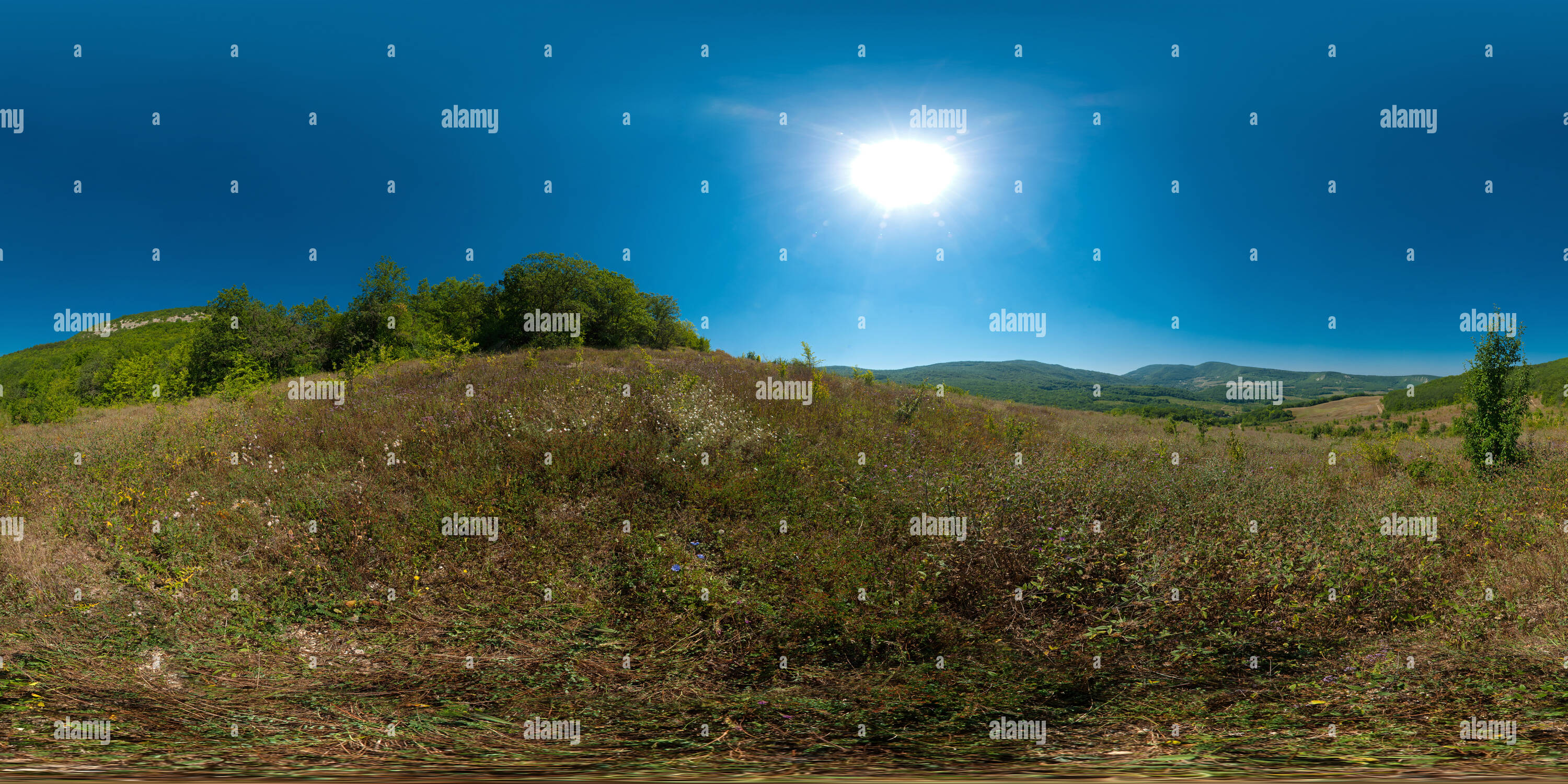 360° view of fields village Vysokoe - Alamy