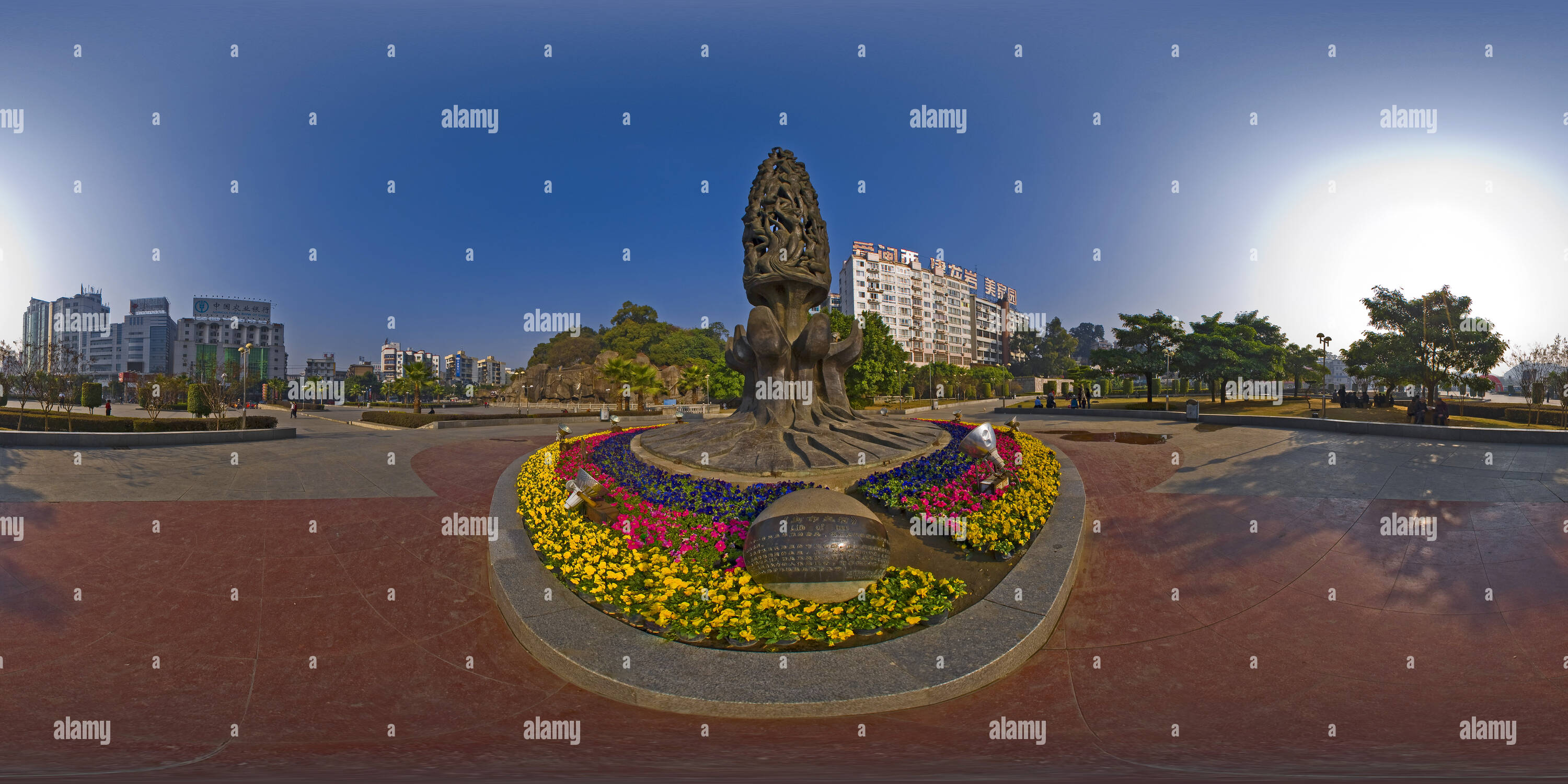 360° view of Longyan Prominent - Tree of Life - Alamy