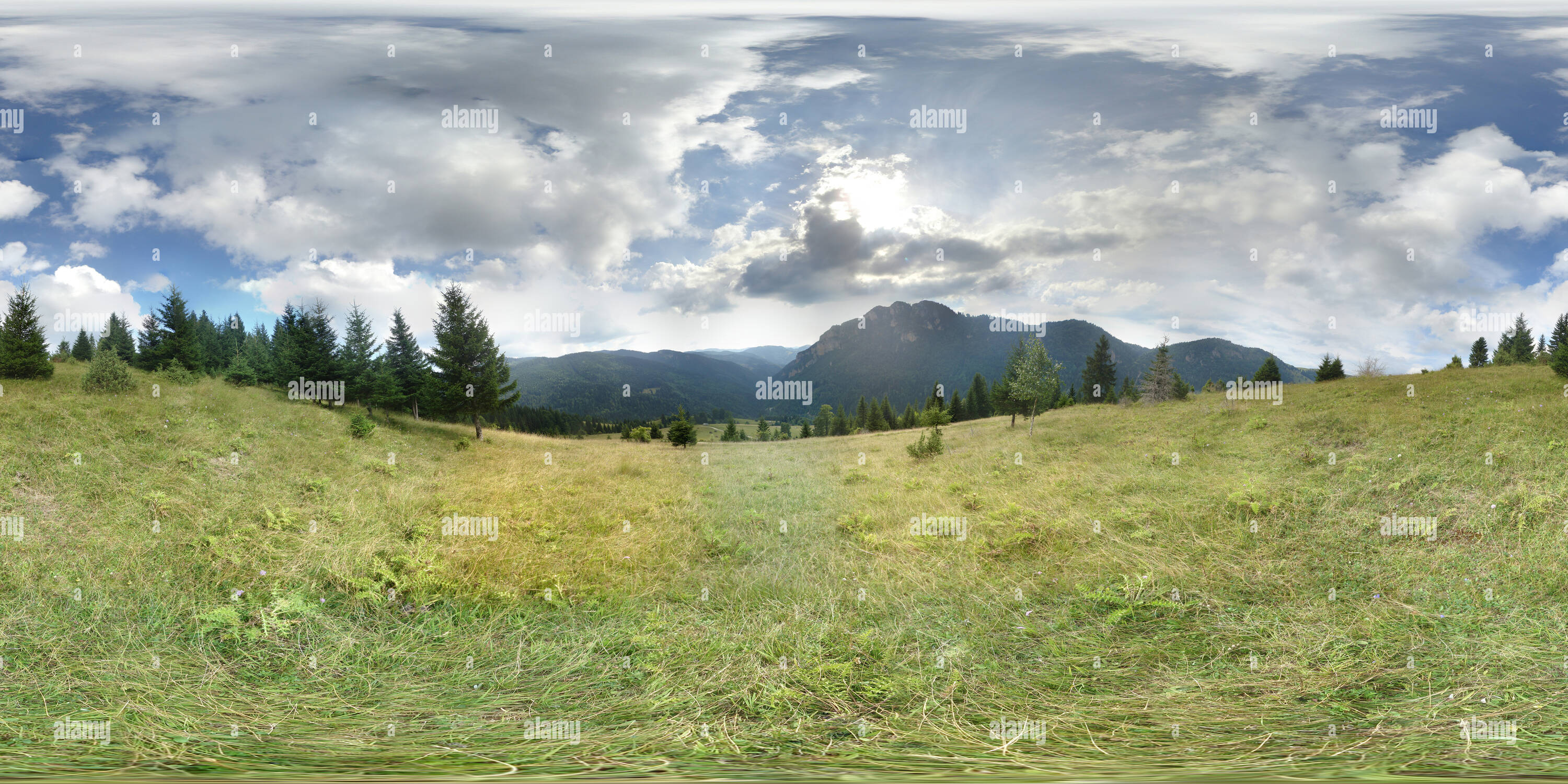 Divljak hi-res stock photography and images - Alamy