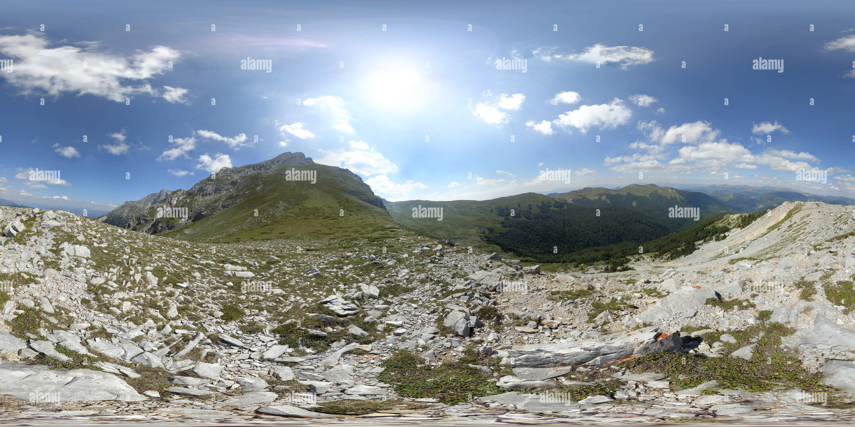 Rogam hi-res stock photography and images - Alamy