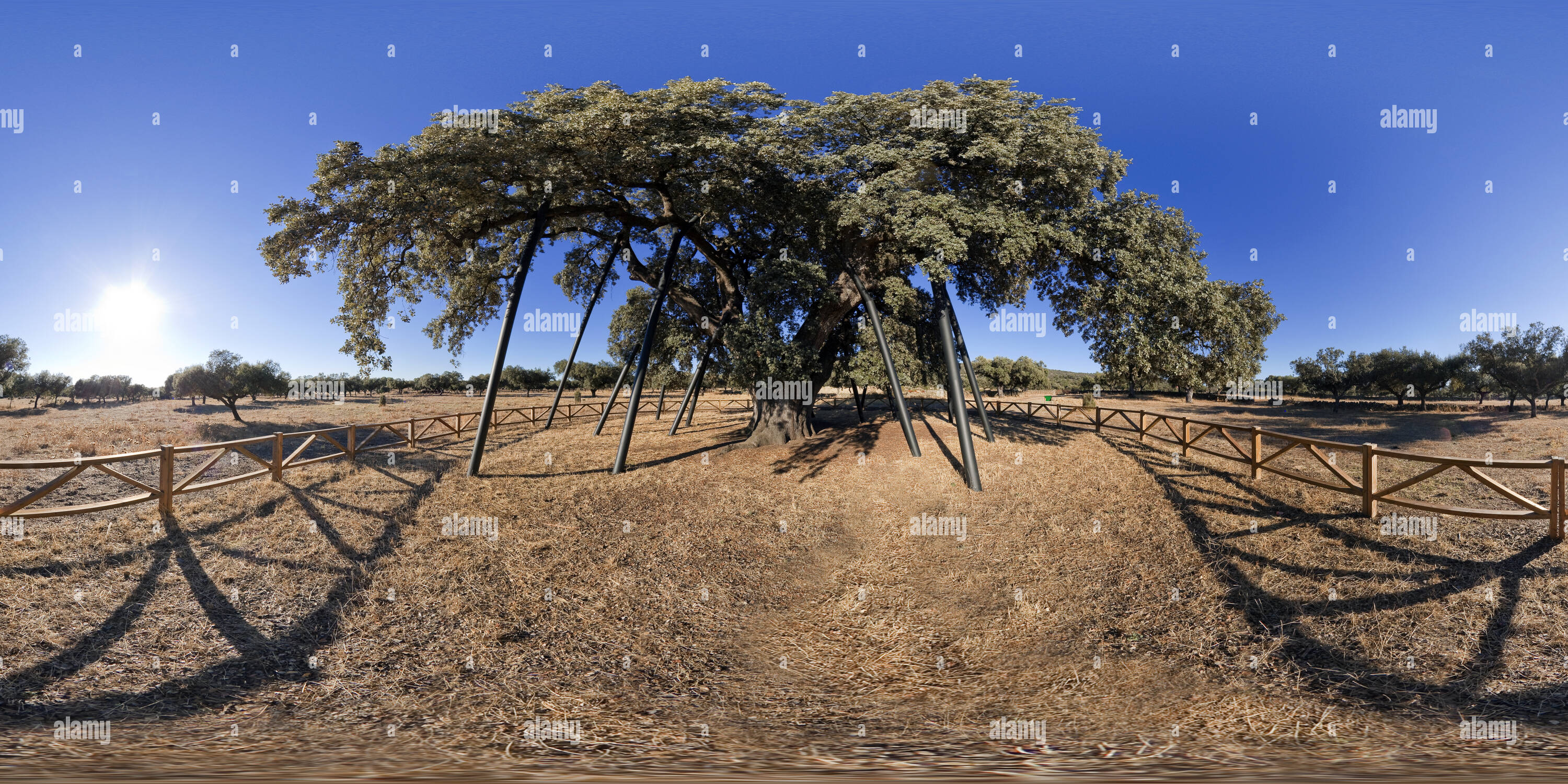 Terrona hi-res stock photography and images - Alamy