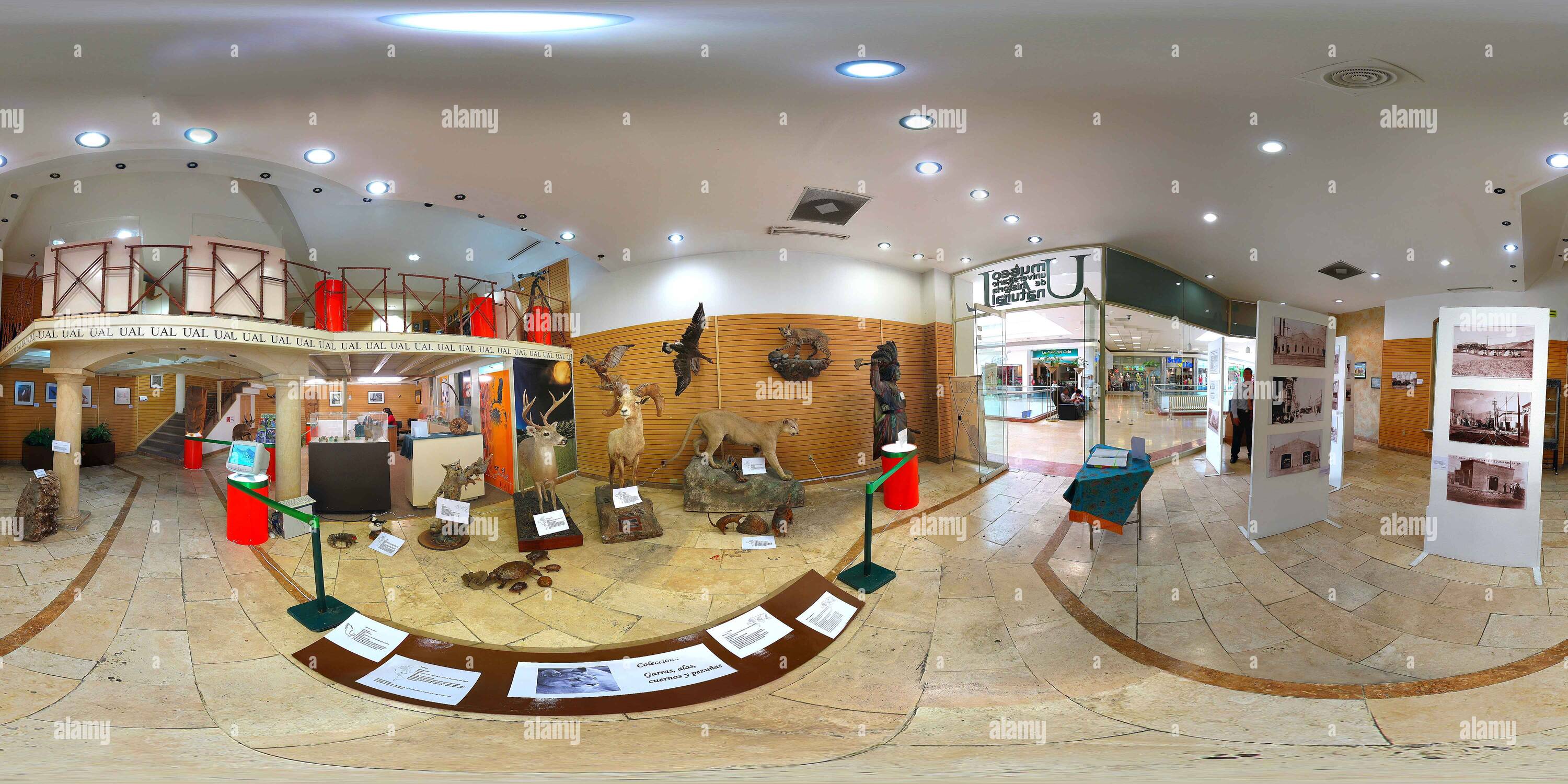 360° view of Universidad Autonoma de la laguna Museum - Alamy
