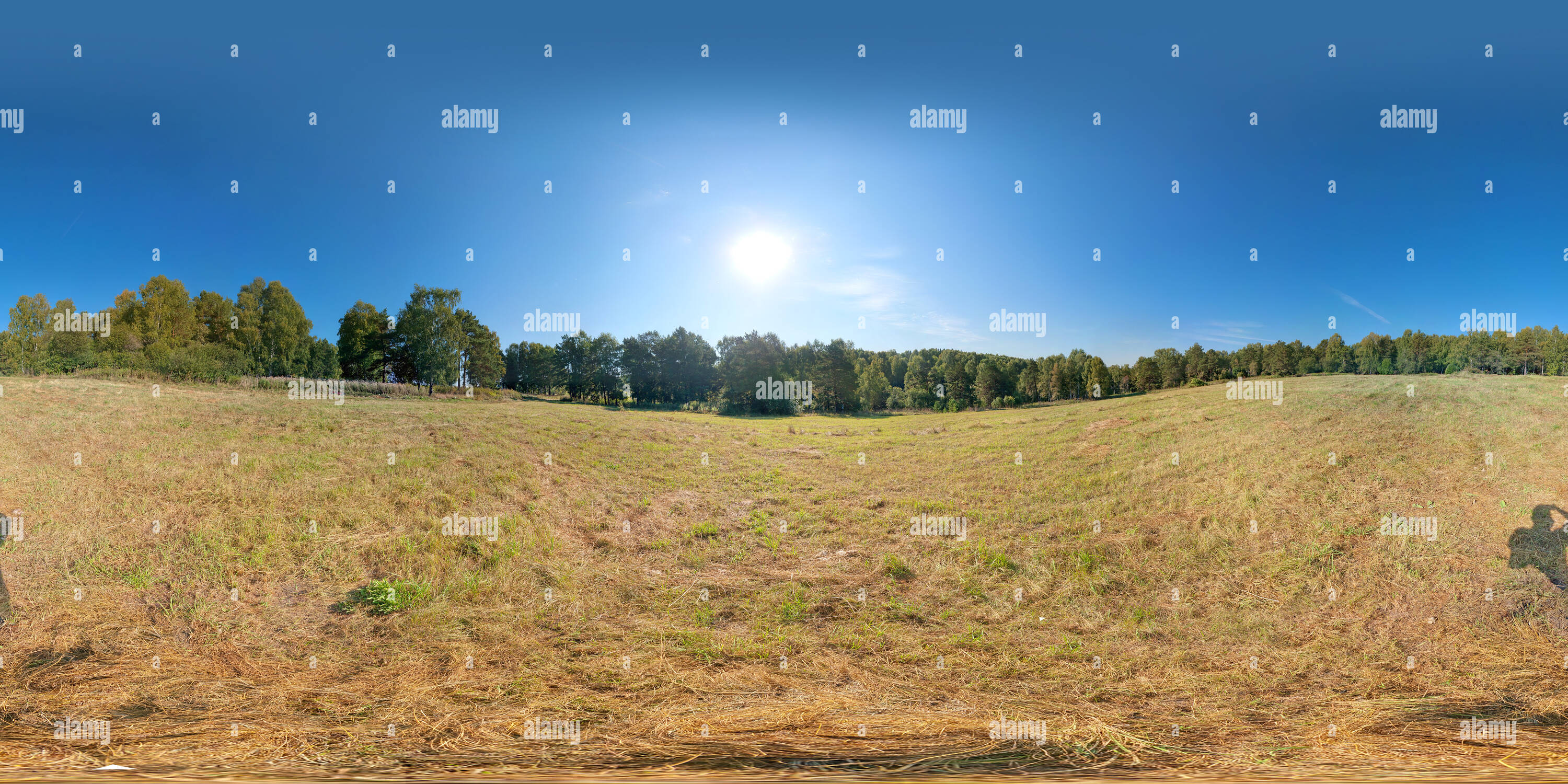 360° view of Siberian forest glade, september 2010 - Alamy