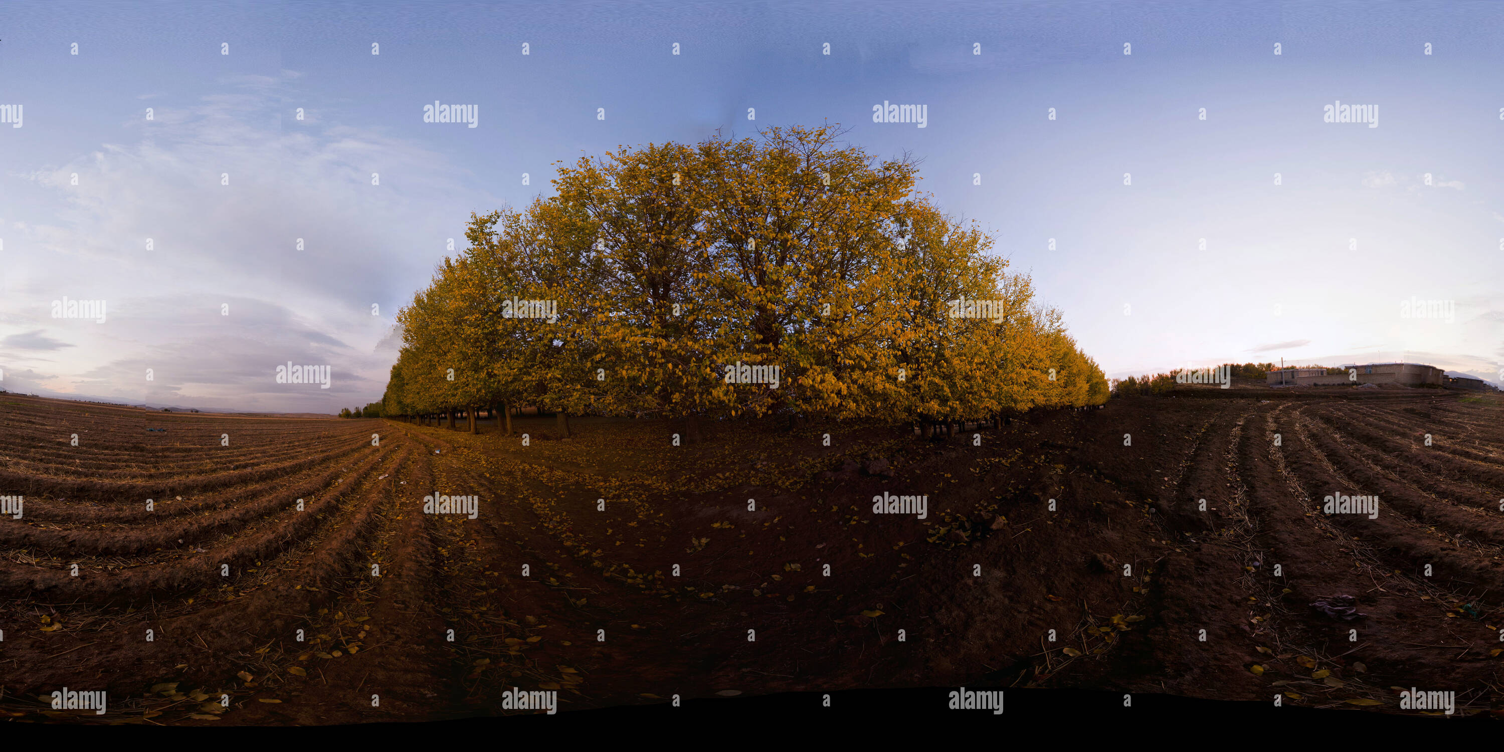 360° view of Autumn In Iran - Alamy
