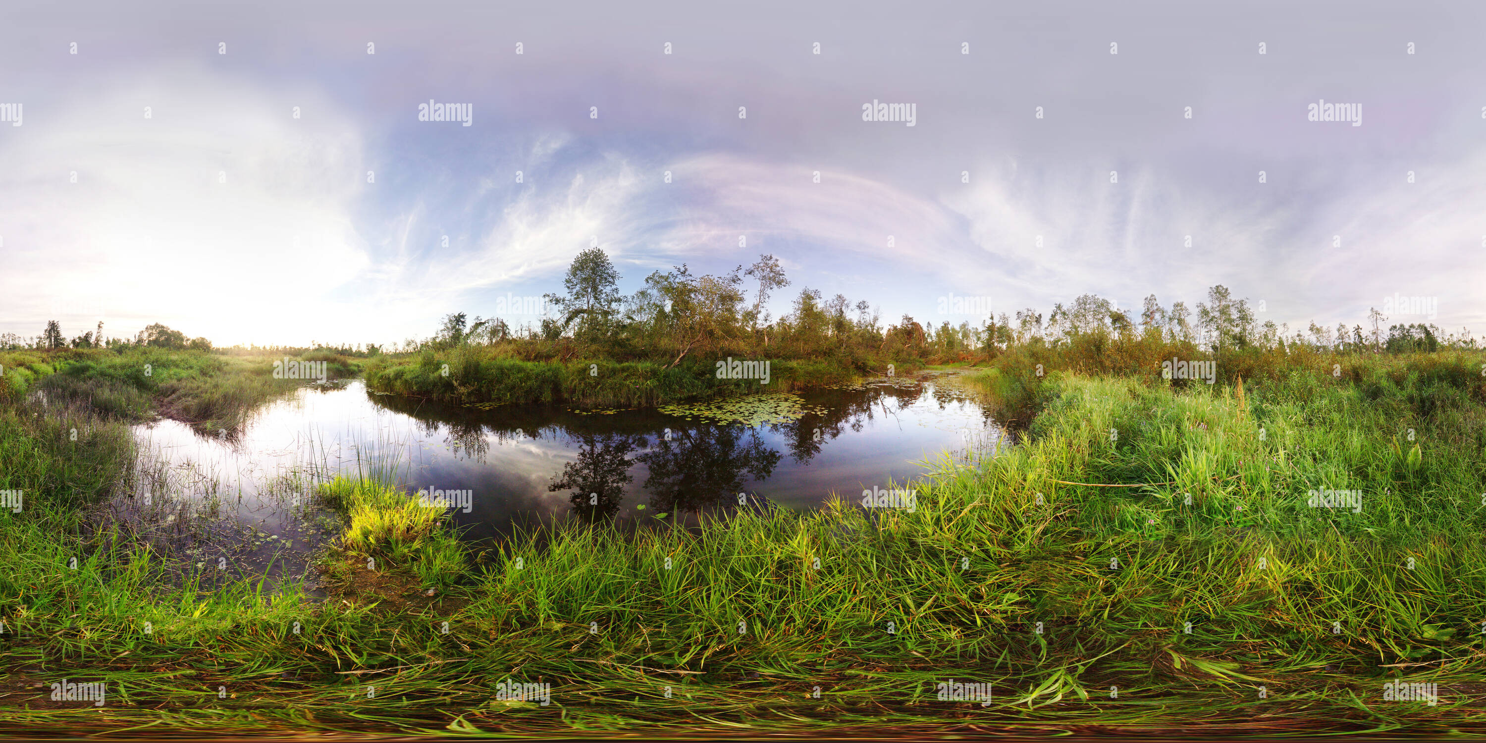 360° view of Kozenka river and Sot' river confluence, aug2010 - Alamy