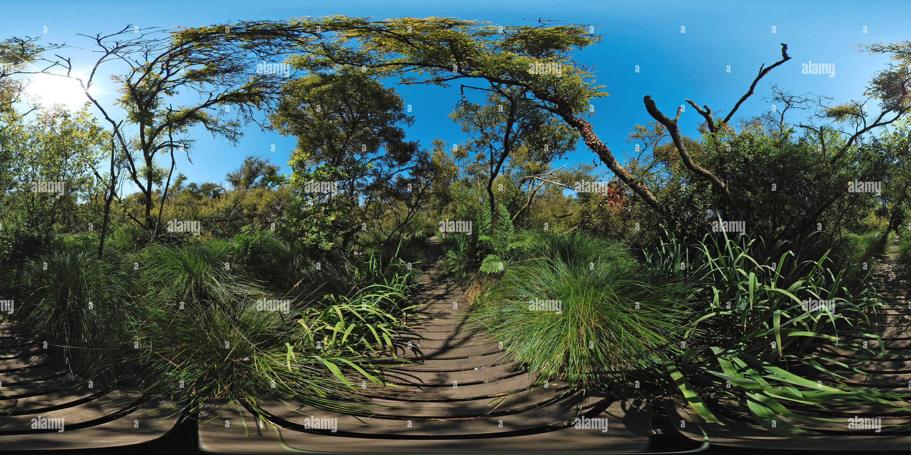 360° view of Réserve de l'étang Noir de Seignosse - France - Alamy