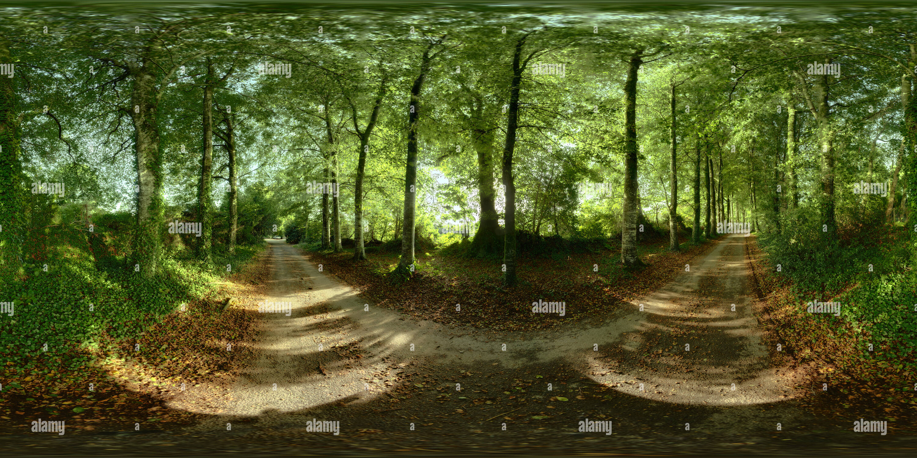 360° view of Allee du Bourdonnel Quimper - Alamy