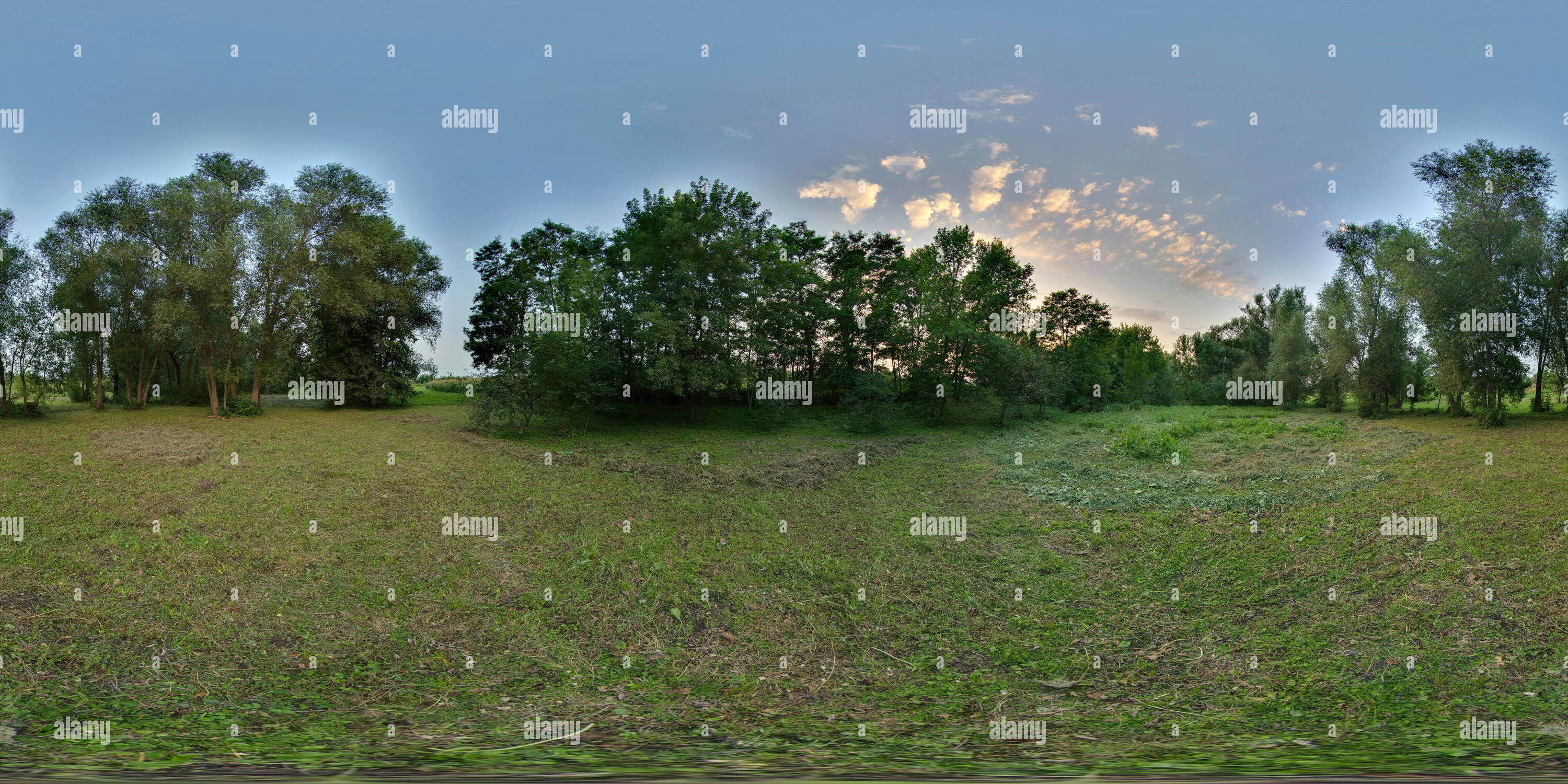 360° view of near Udich river, Ukraina - Alamy